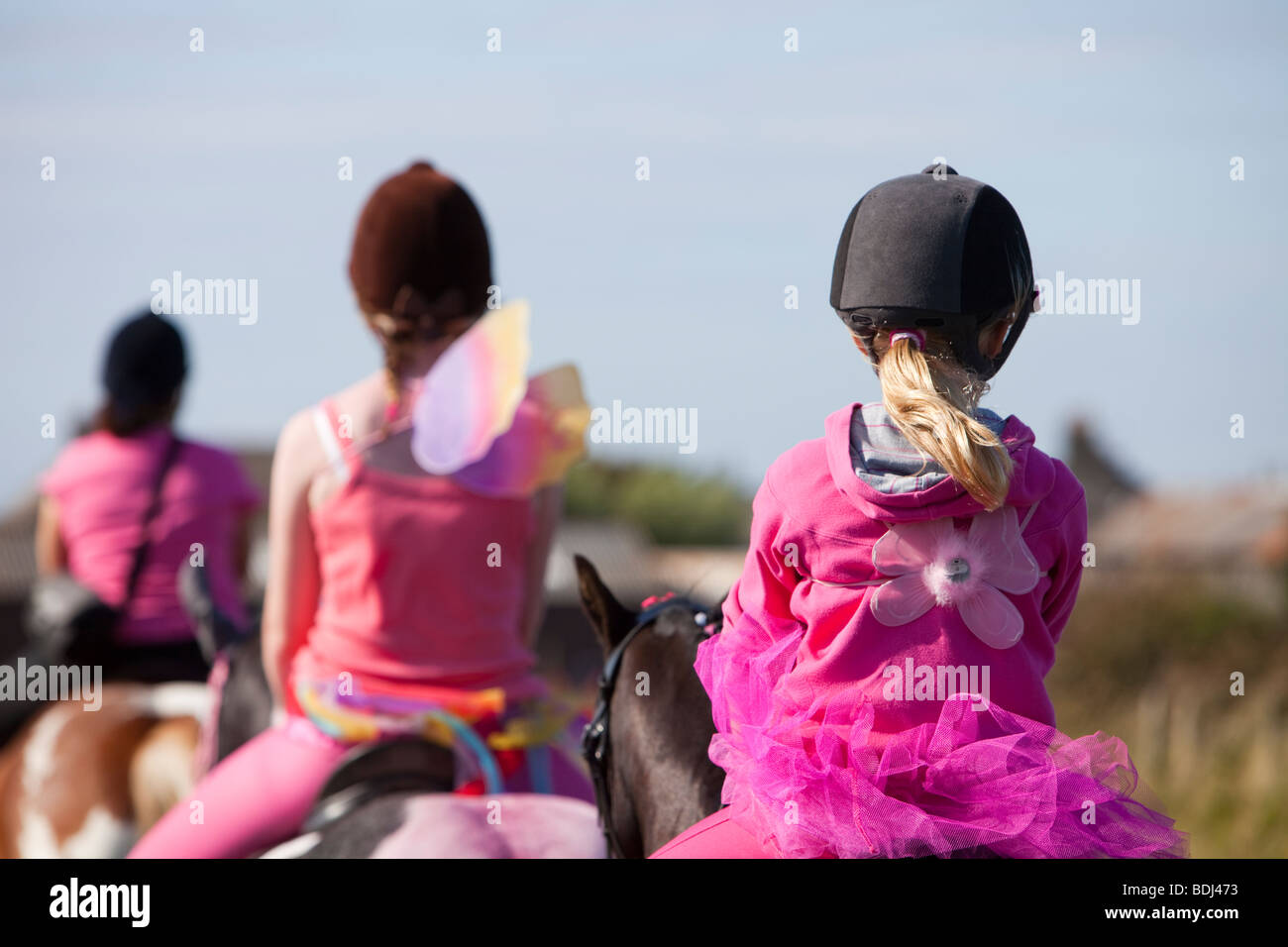 A horse riding school on Walney Island, Barrow in Furness Cumbria, UK ...