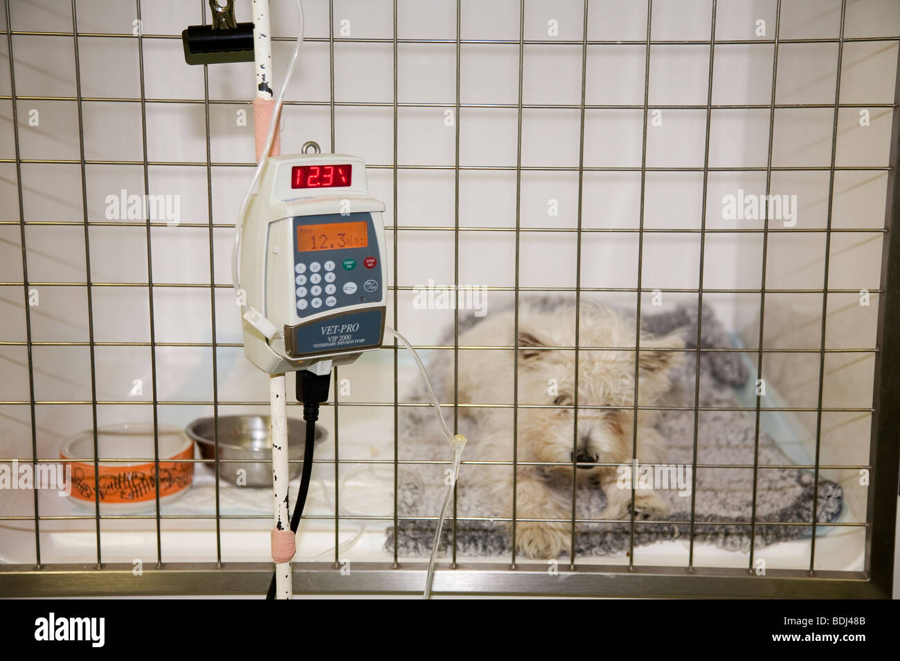 Infusion pump intravenous iv drip hi-res stock photography and images ...