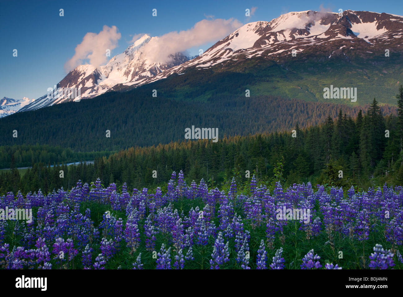 Chugach landscape hi-res stock photography and images - Alamy