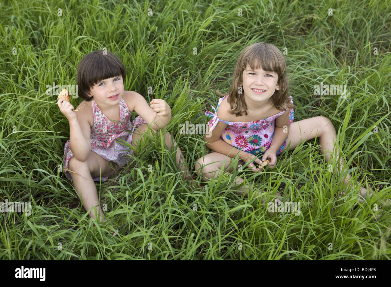 two girls sitting in the grass. Summer time. Friendship Stock Photo - Alamy