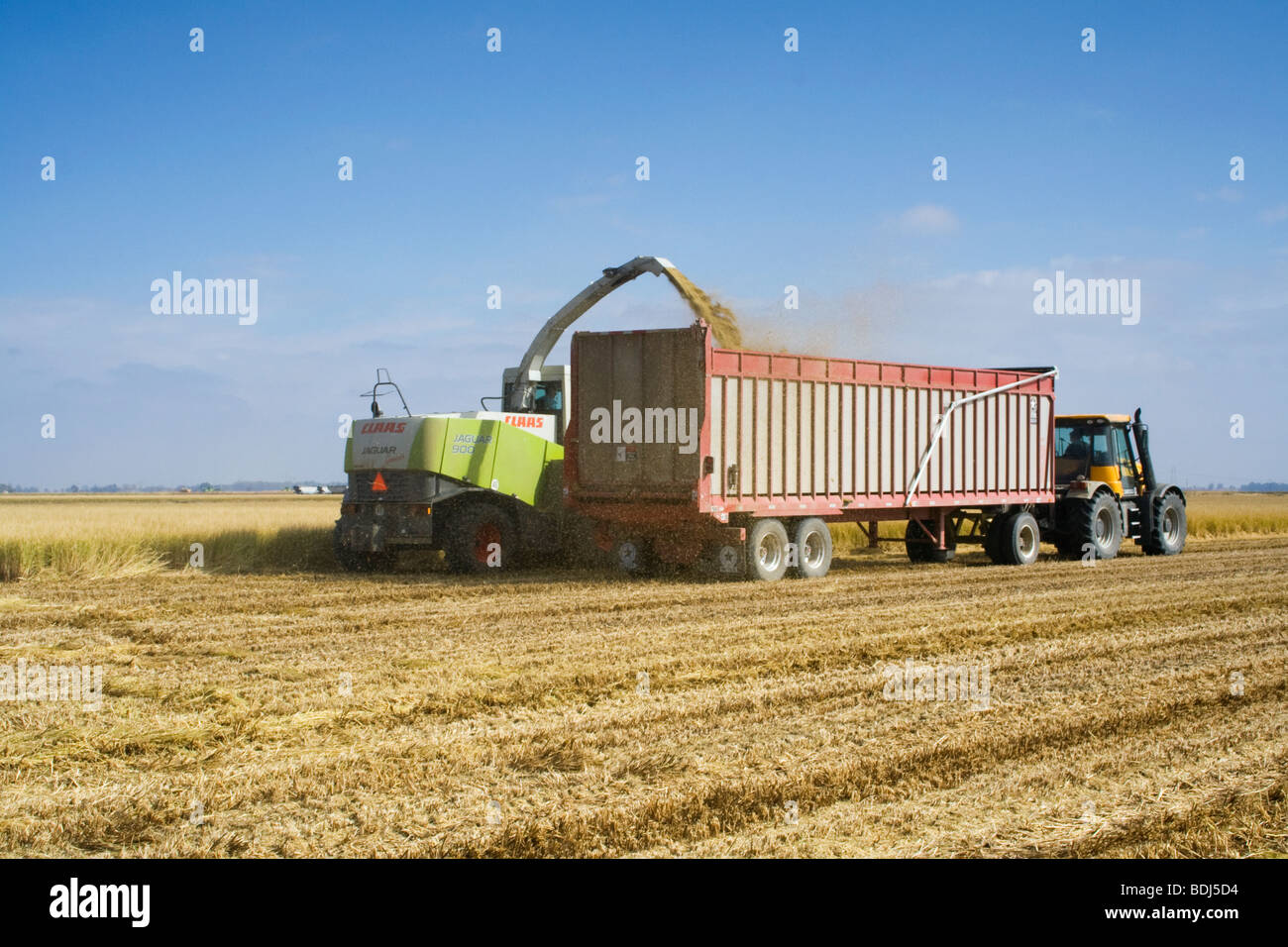 Cutting Rice Crop High Resolution Stock Photography and Images - Alamy
