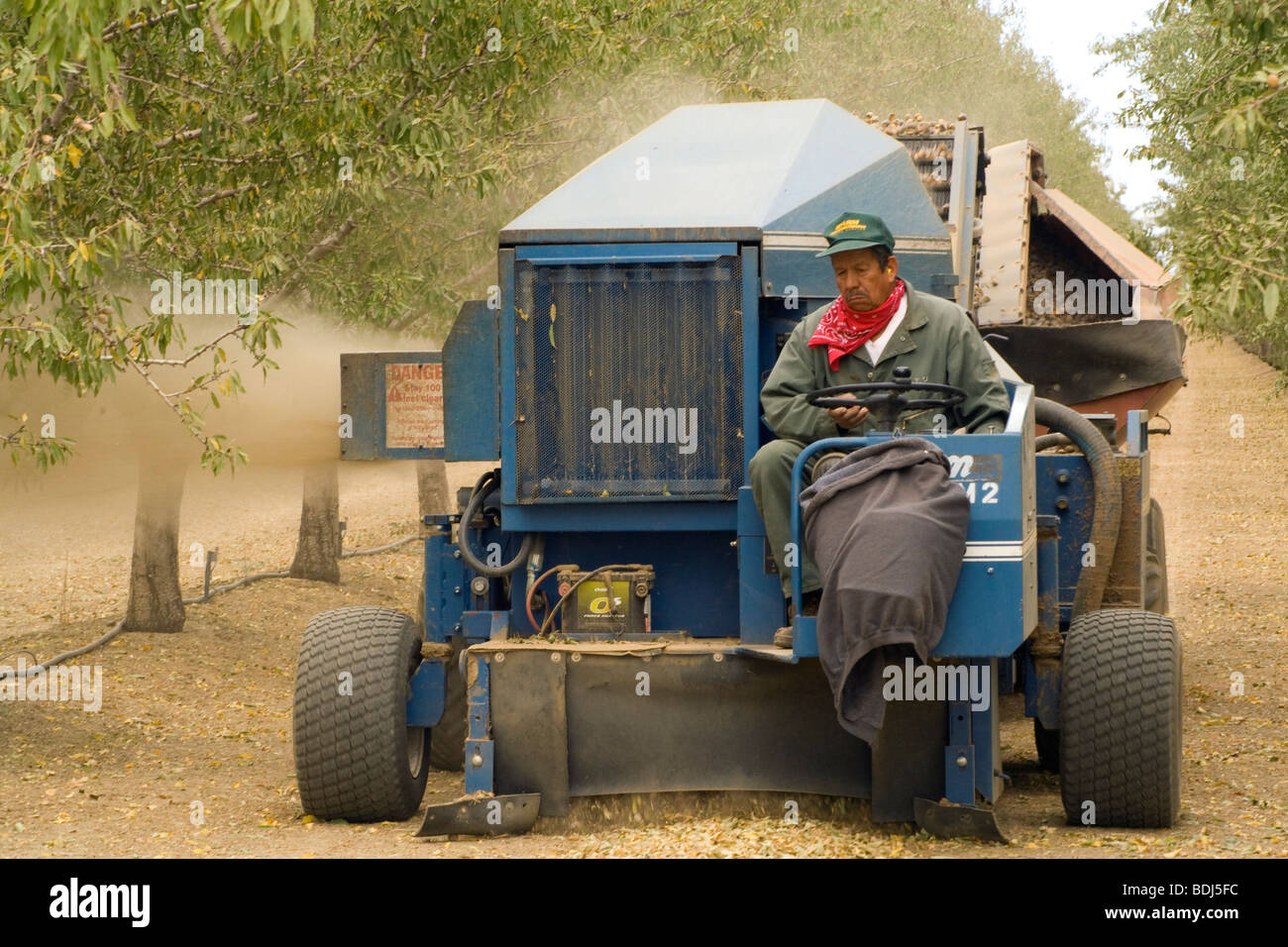 Agriculture - An almond harvester vacuums up dried almonds from ...