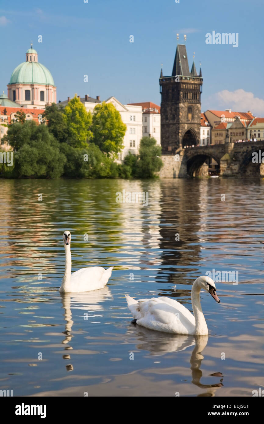 Czech swimming hi-res stock photography and images - Alamy