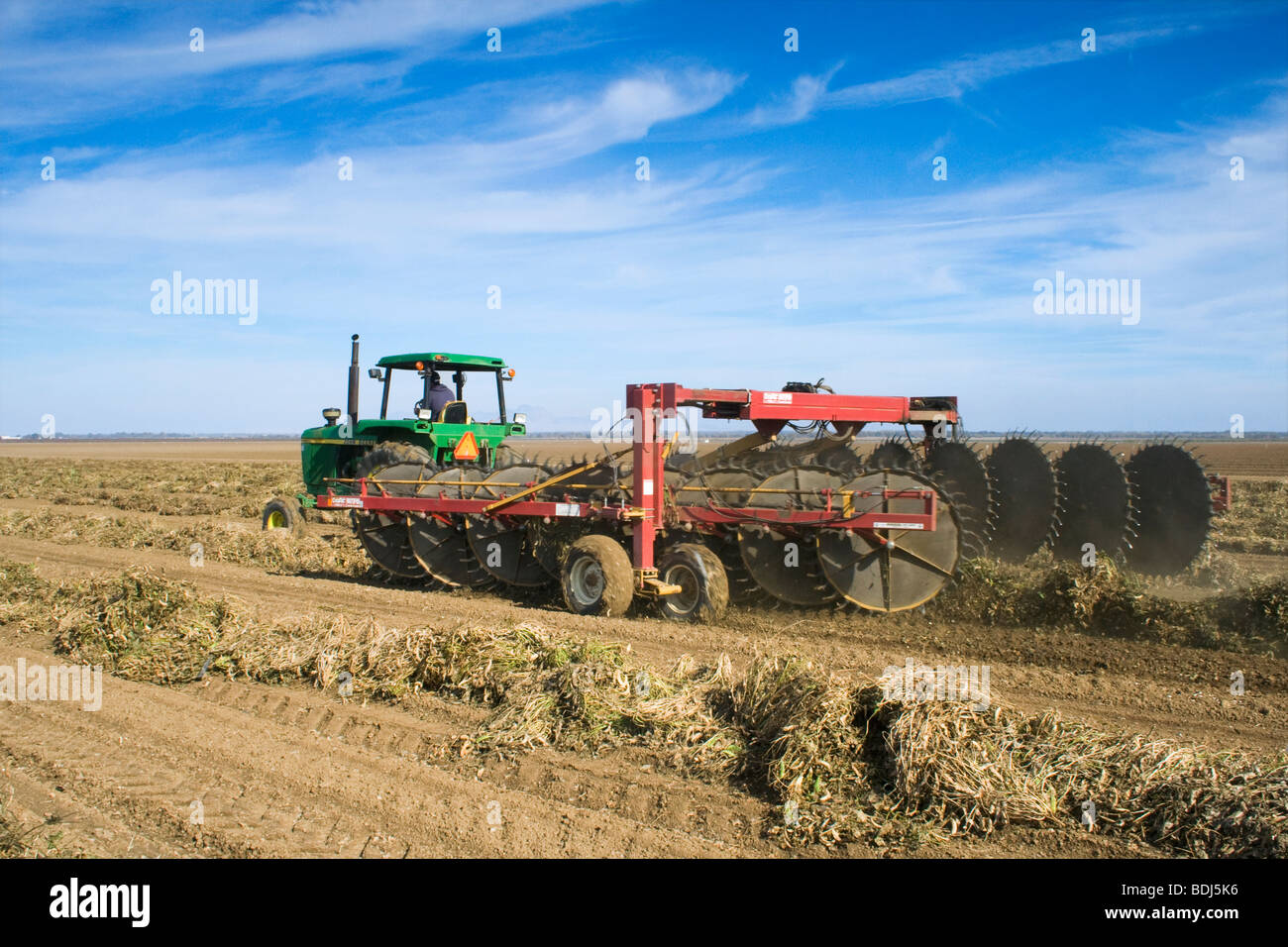 A tractor with a windrower turns rows of cut dry beans to facilitate ...