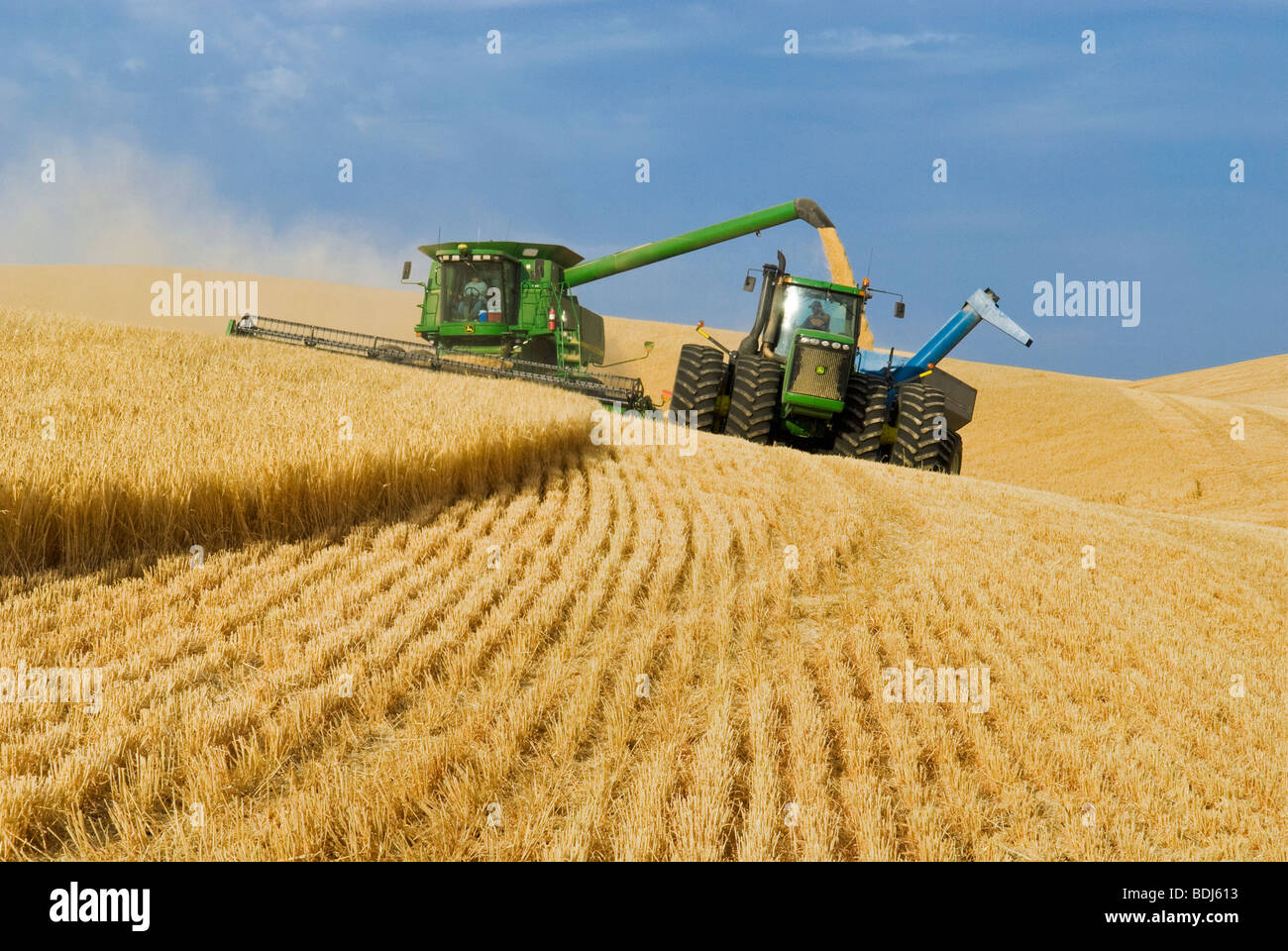 Combine harvests barley hi-res stock photography and images - Alamy
