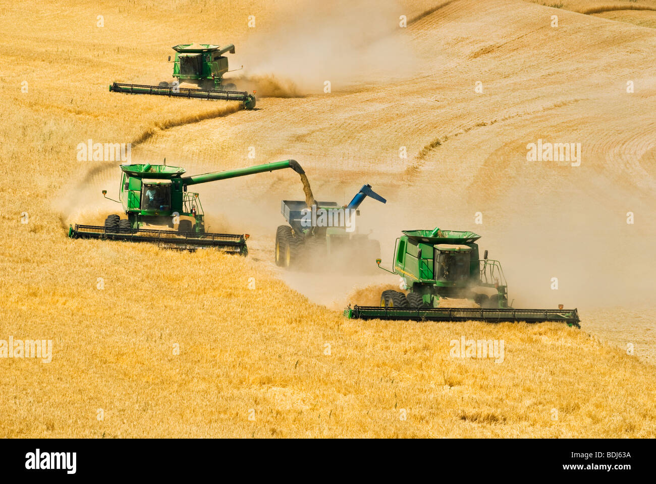 Combine unloading grain on go hi-res stock photography and images - Alamy