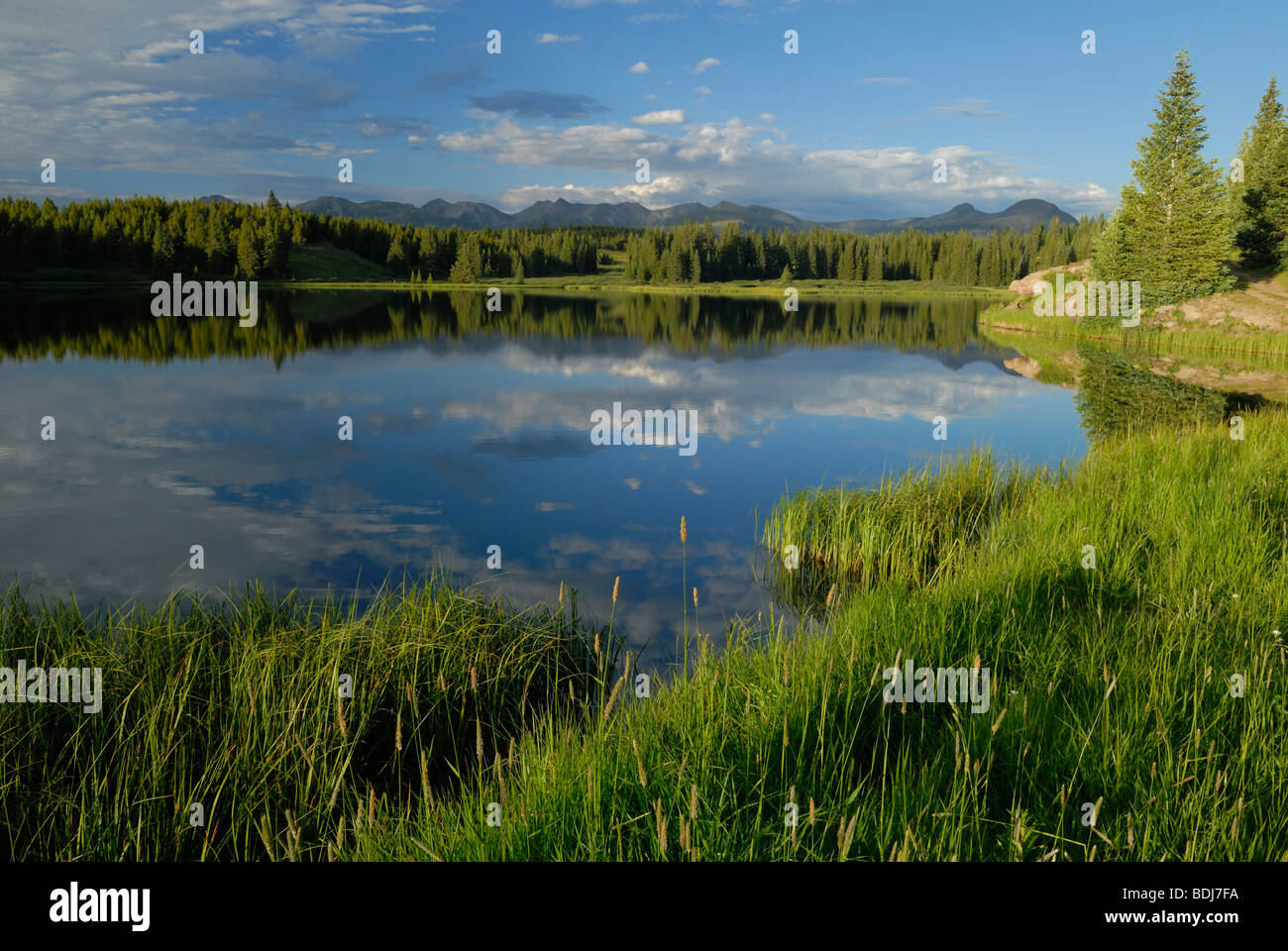 Andrews lake hi-res stock photography and images - Alamy