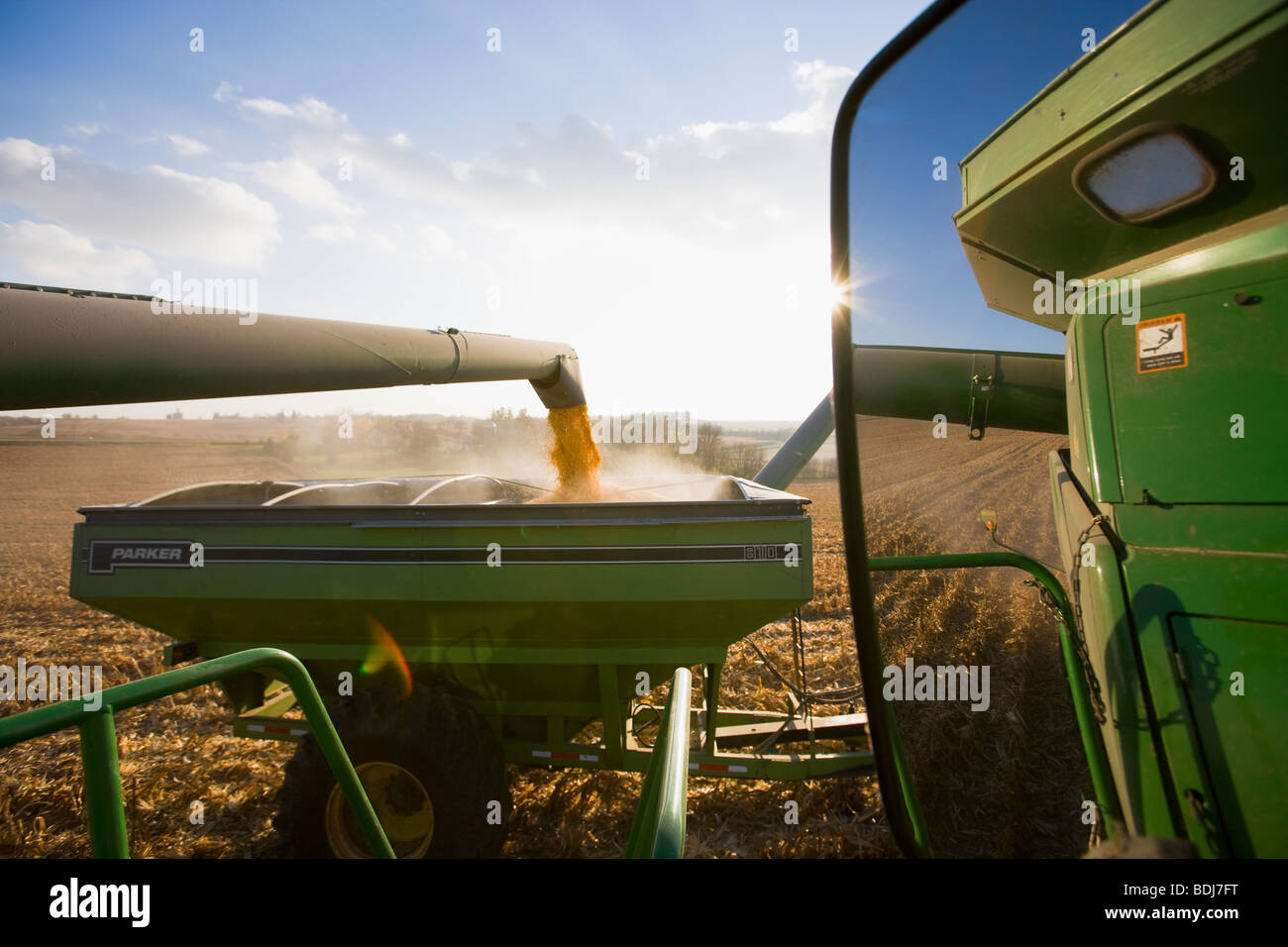 Grain corn harvest from the cab of a combine showing corn being augered ...