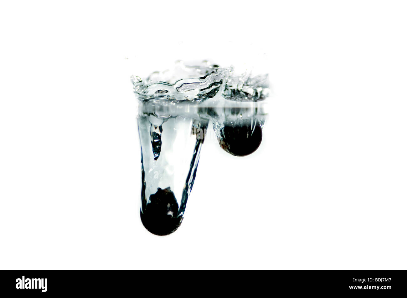 Two acai berries splashing into water, white background Stock Photo - Alamy