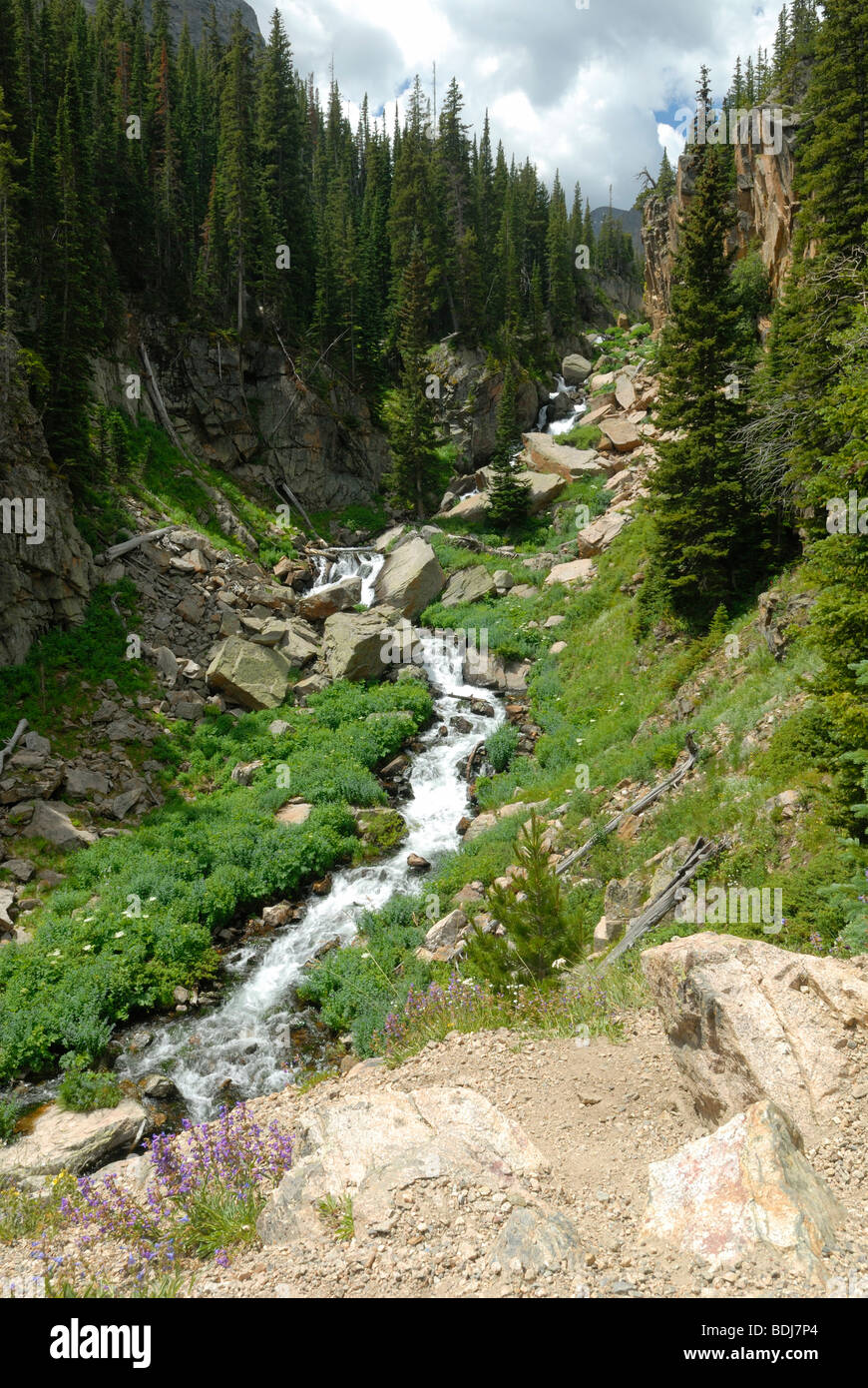 Alpine stream in Colorado Rocky Mountains Stock Photo - Alamy