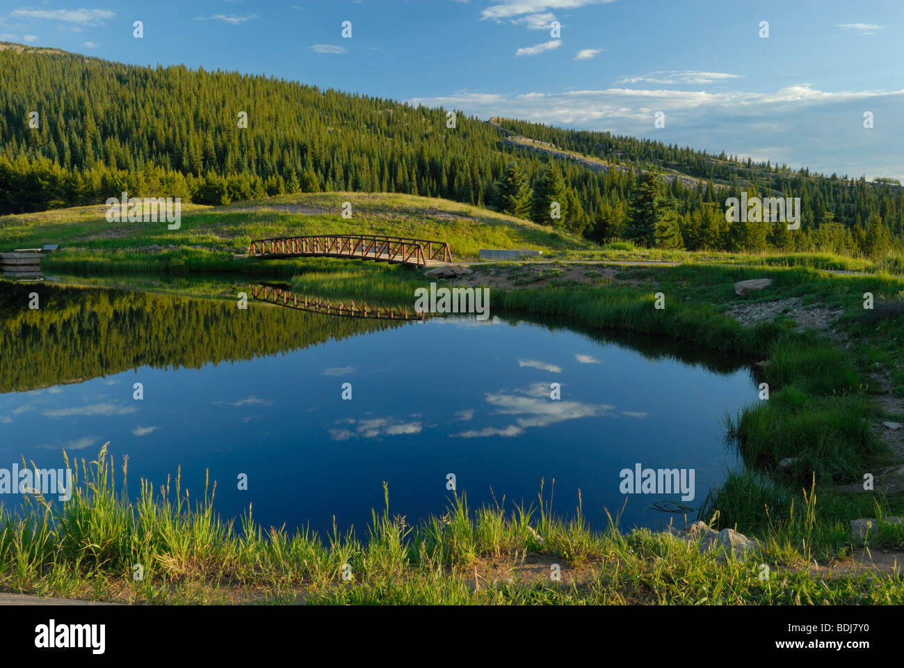 Evening reflections at Andrew's Lake in Colorado Rocky Mountains Stock ...