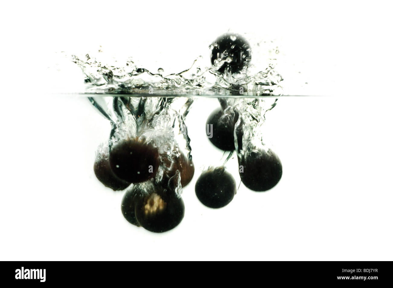 Several acai berries splashing into water against a white background ...