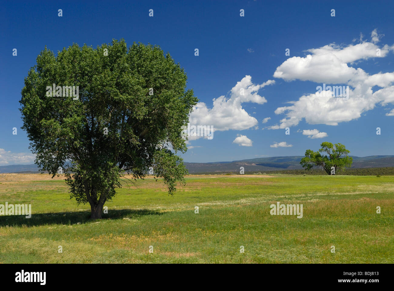 Rural landscape in Western Colorado Stock Photo - Alamy