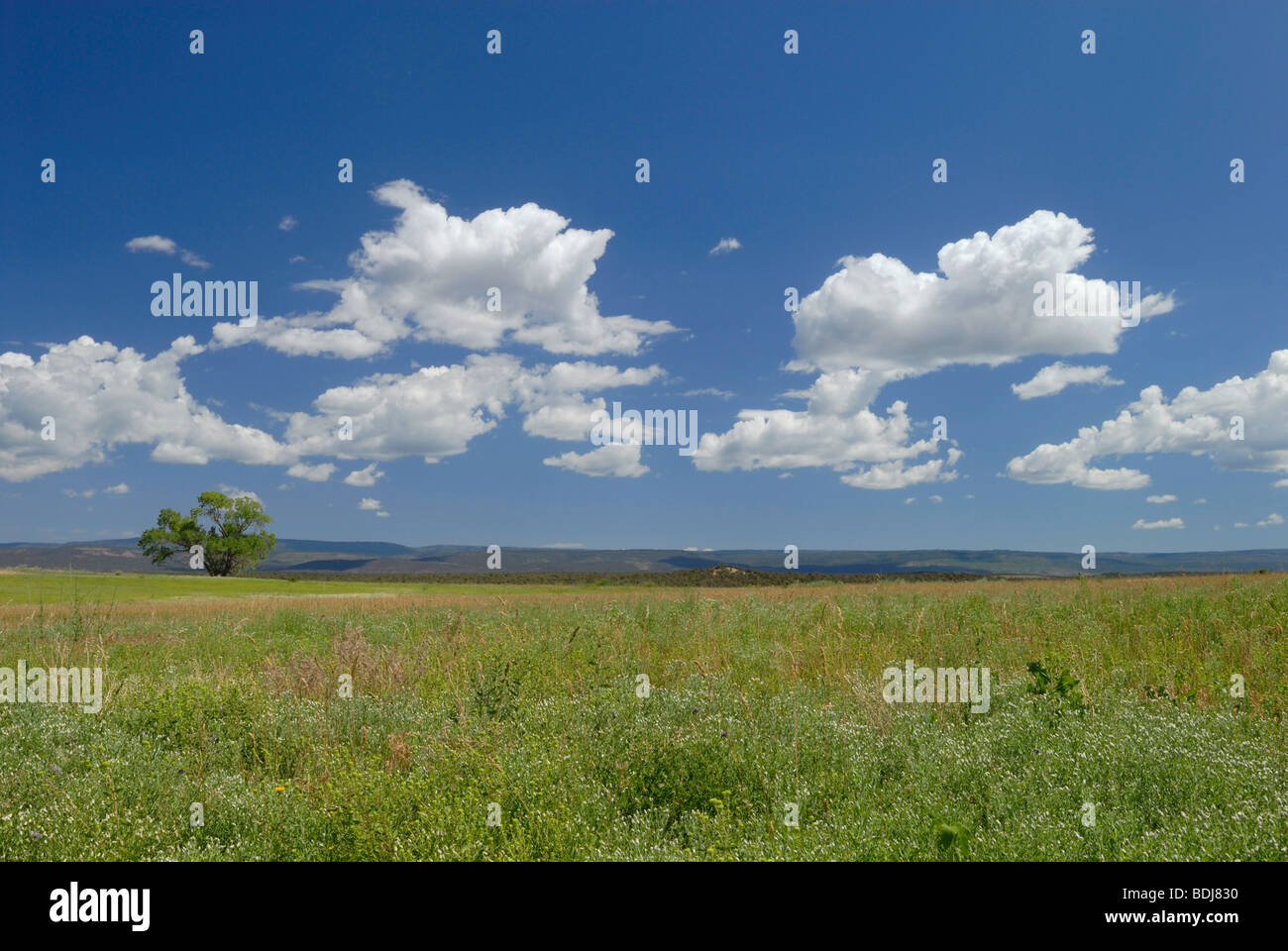 Rural landscape in Western Colorado Stock Photo - Alamy