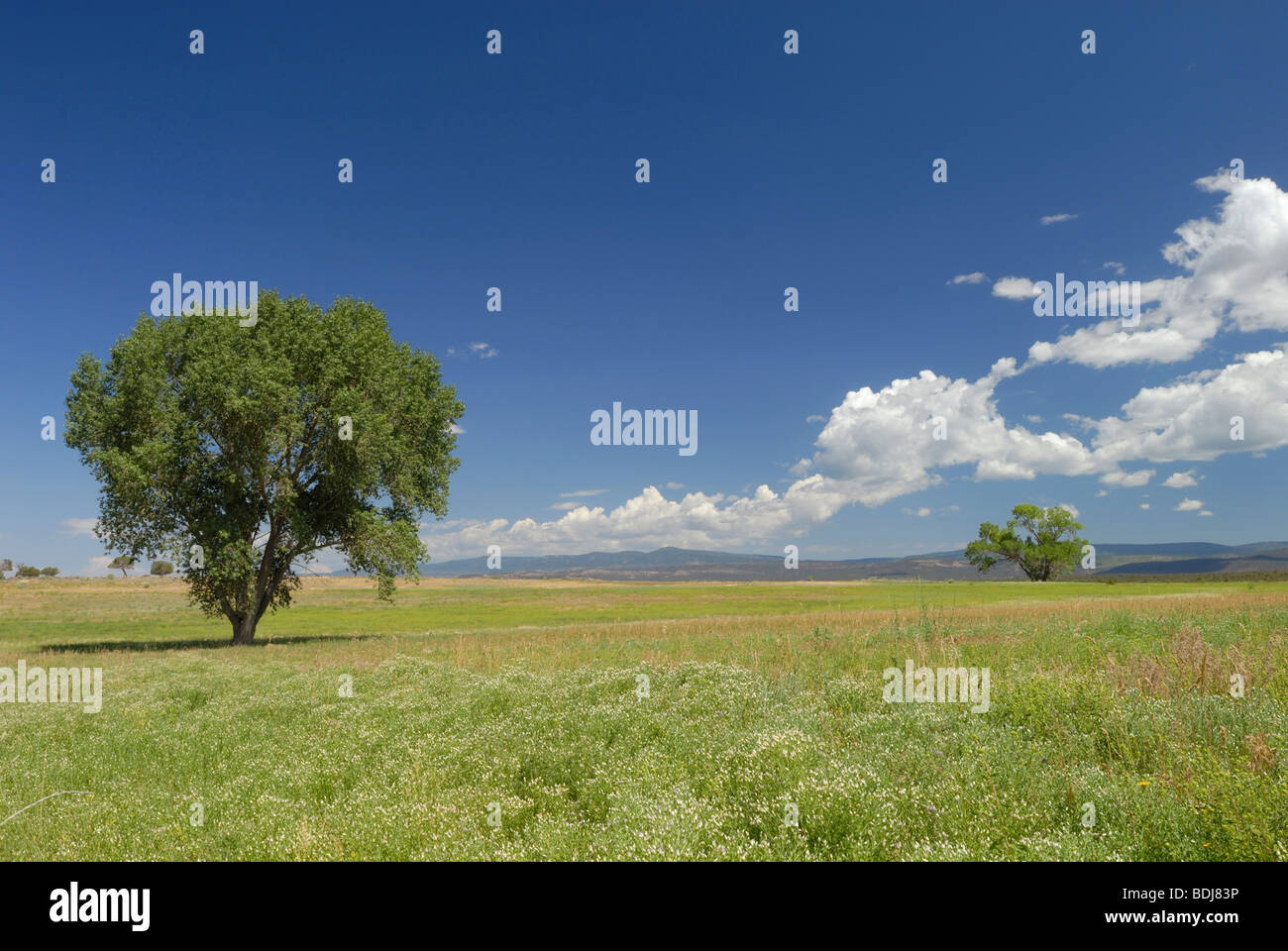 Rural landscape in Western Colorado Stock Photo - Alamy