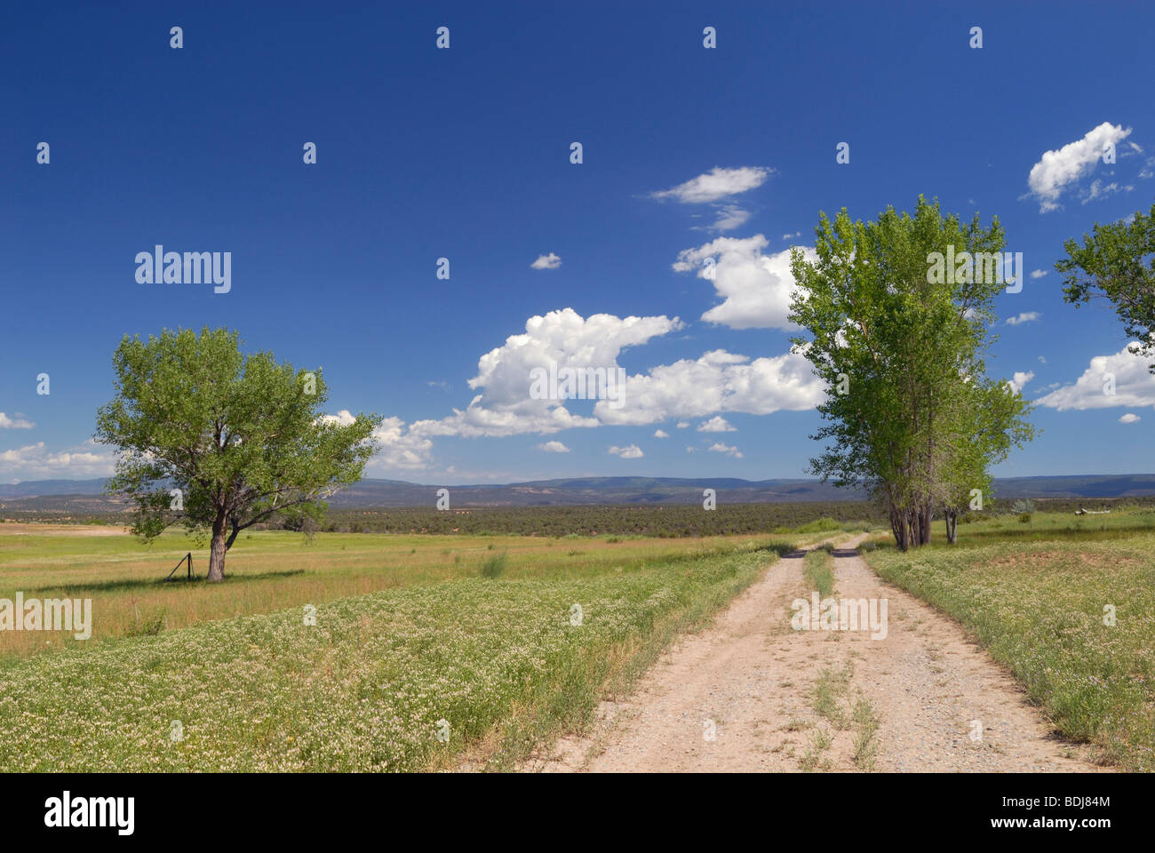 Rural landscape in Western Colorado Stock Photo - Alamy