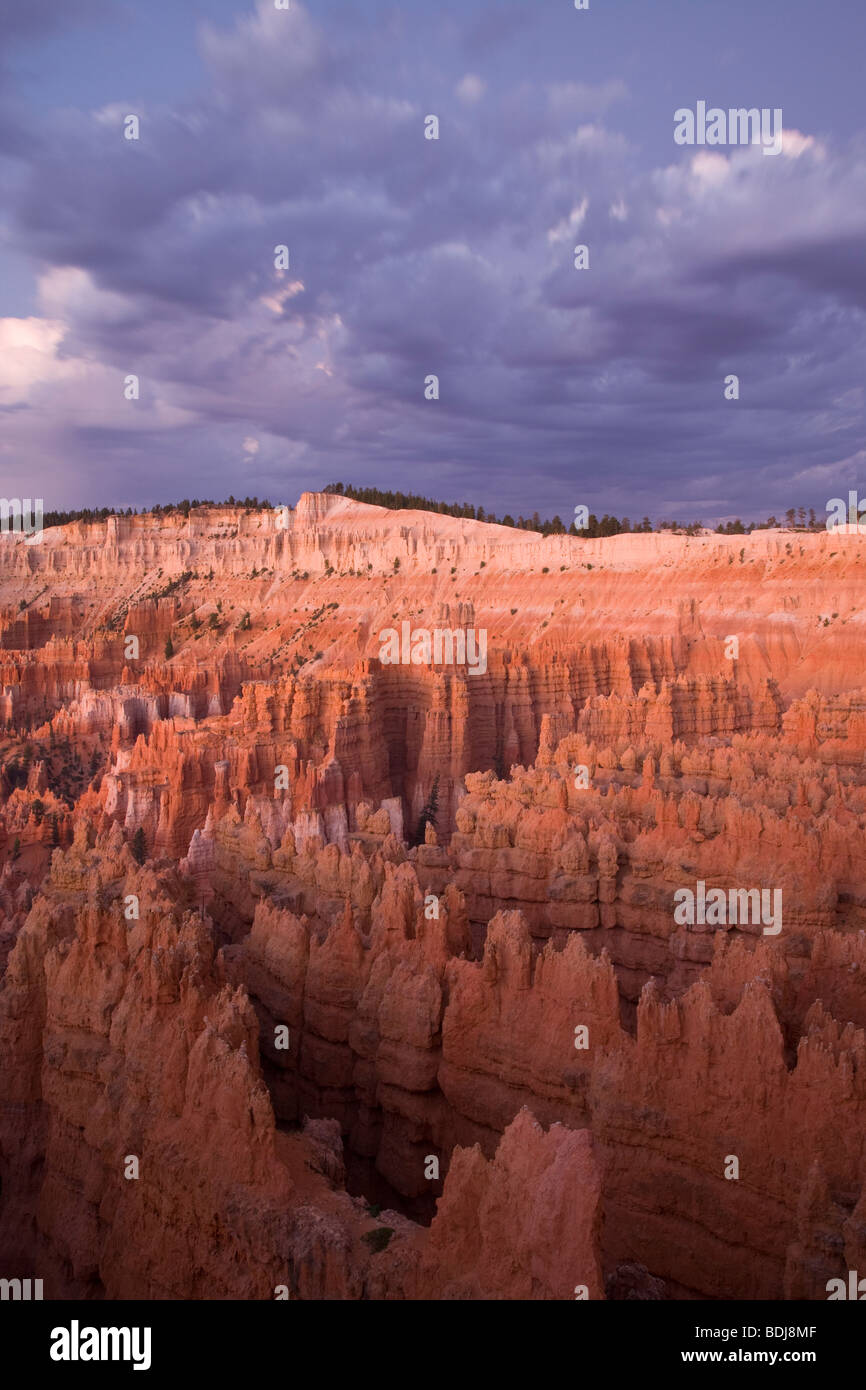 Bryce Amphitheater, Bryce Canyon National Park, Utah Stock Photo - Alamy