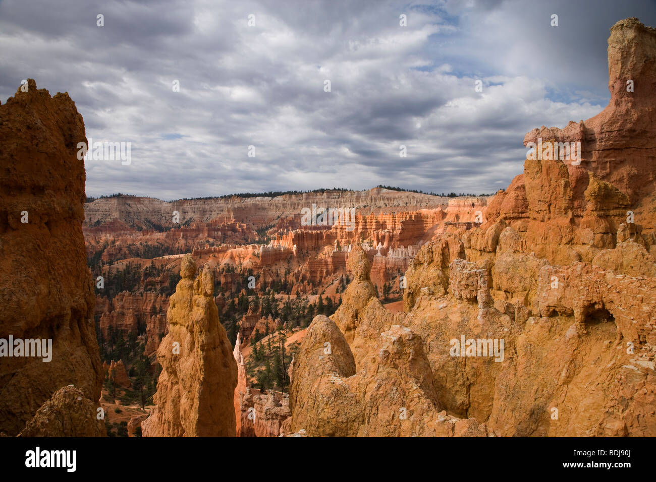 Bryce Amphitheater, Bryce Canyon National Park, Utah Stock Photo - Alamy