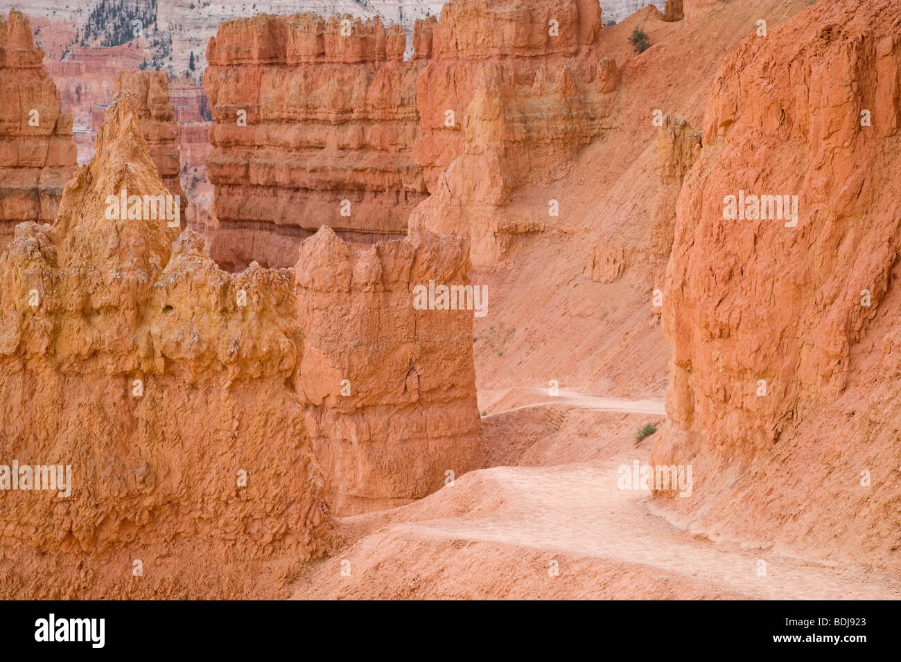 Navajo Loop Trail, Bryce Canyon National Park, Utah Stock Photo - Alamy