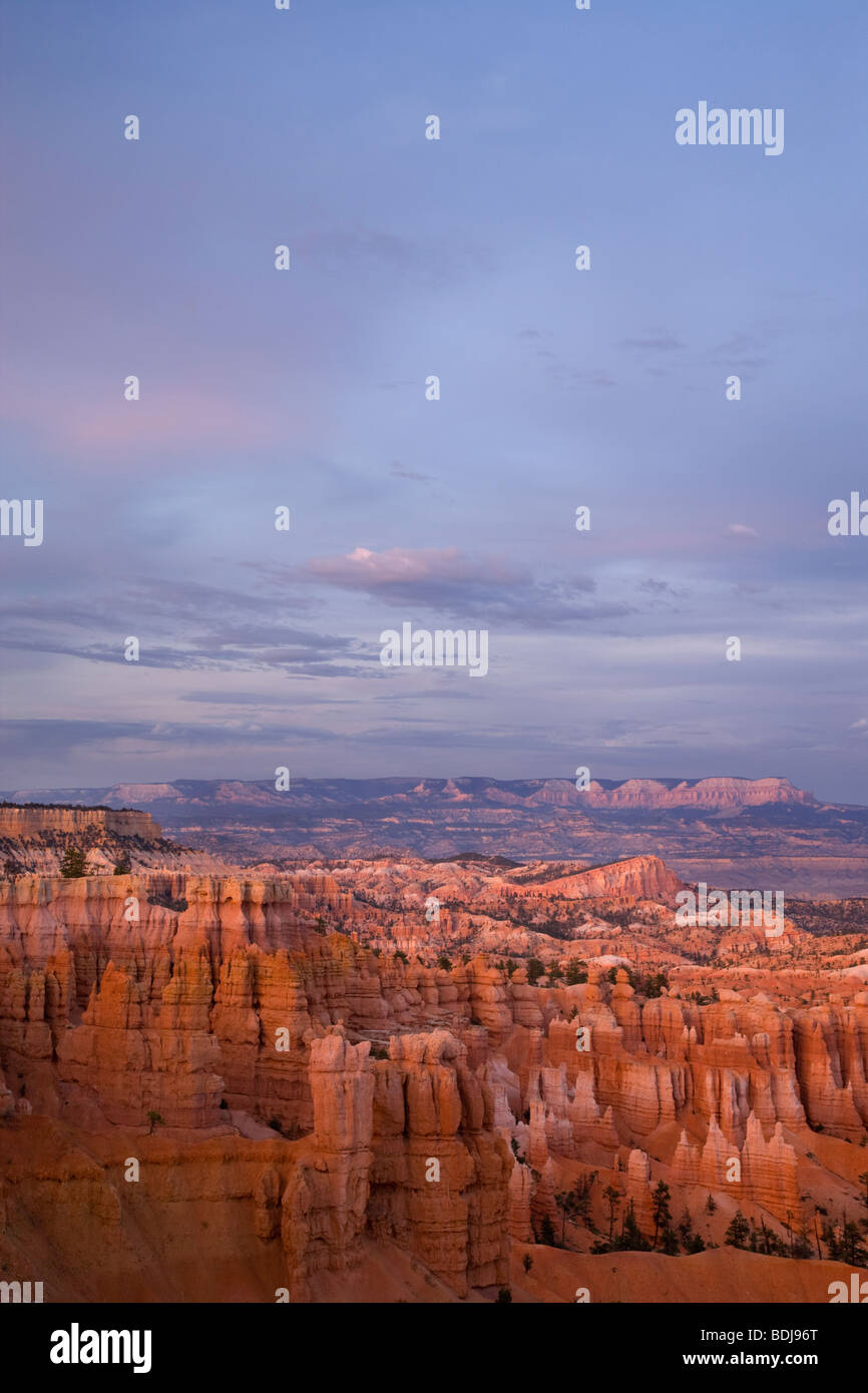 Bryce Amphitheater, Bryce Canyon National Park, Utah Stock Photo - Alamy
