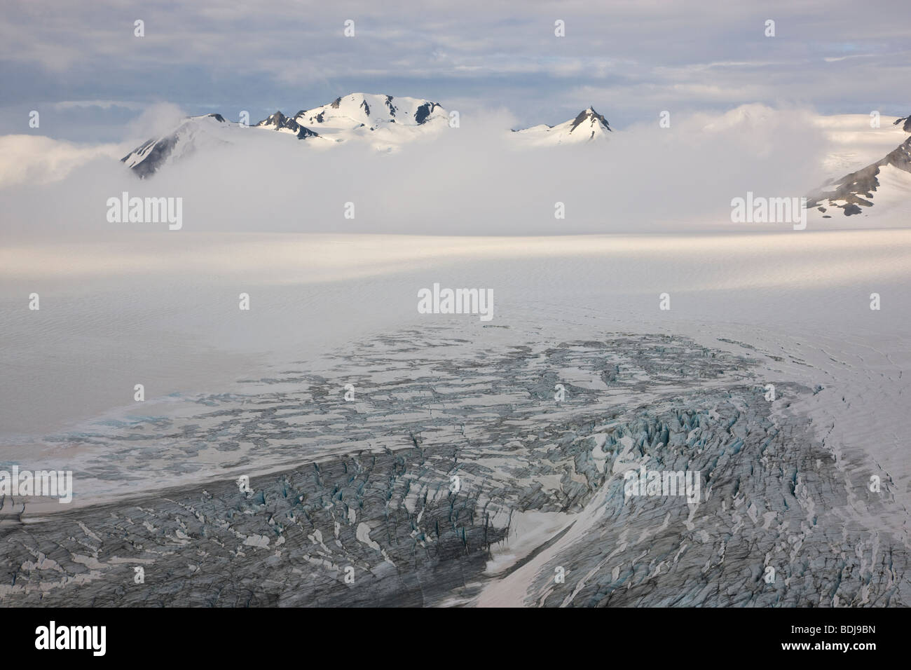 Harding Icefield, Kenai Fjords National Park, Alaska Stock Photo - Alamy