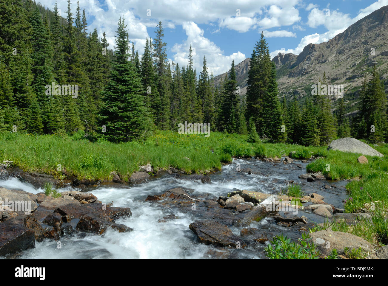 Alpine stream in Colorado Rocky Mountains Stock Photo - Alamy