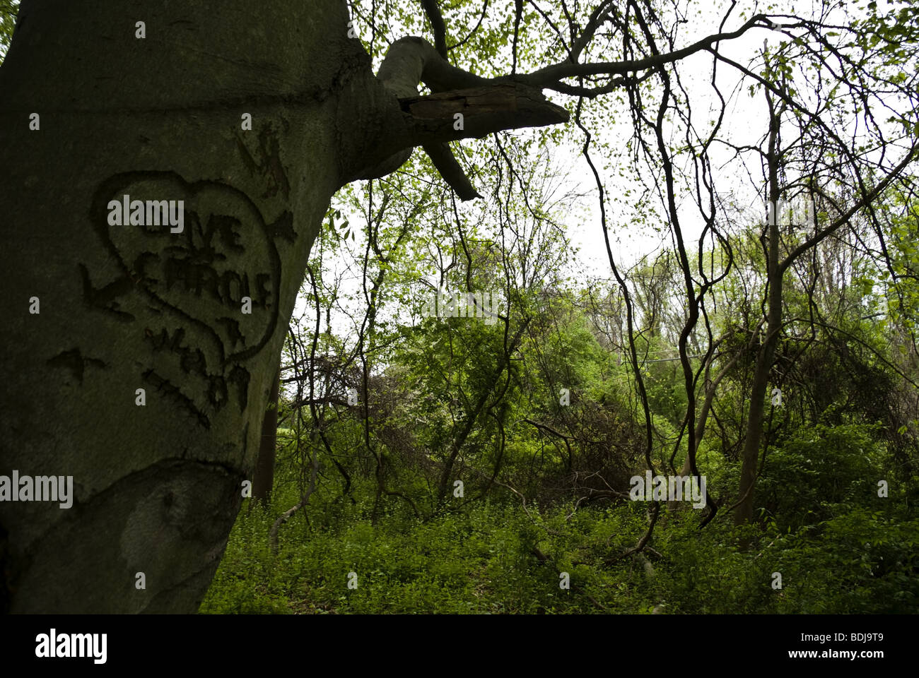 Benjamin Rush State Park Stock Photo - Alamy