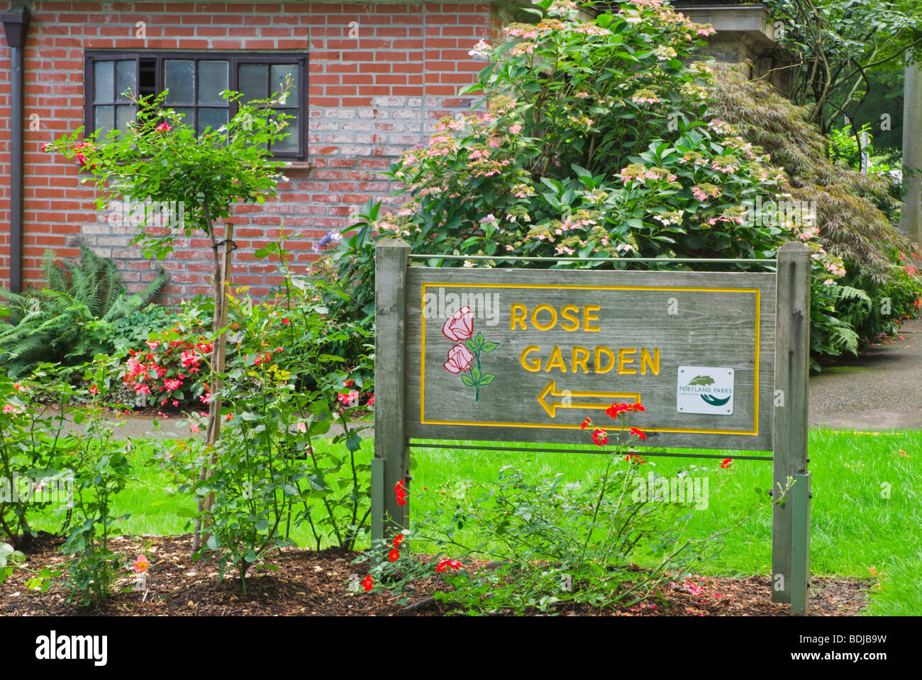 The International Rose Test Garden, Washington Park, Portland, Oregon ...
