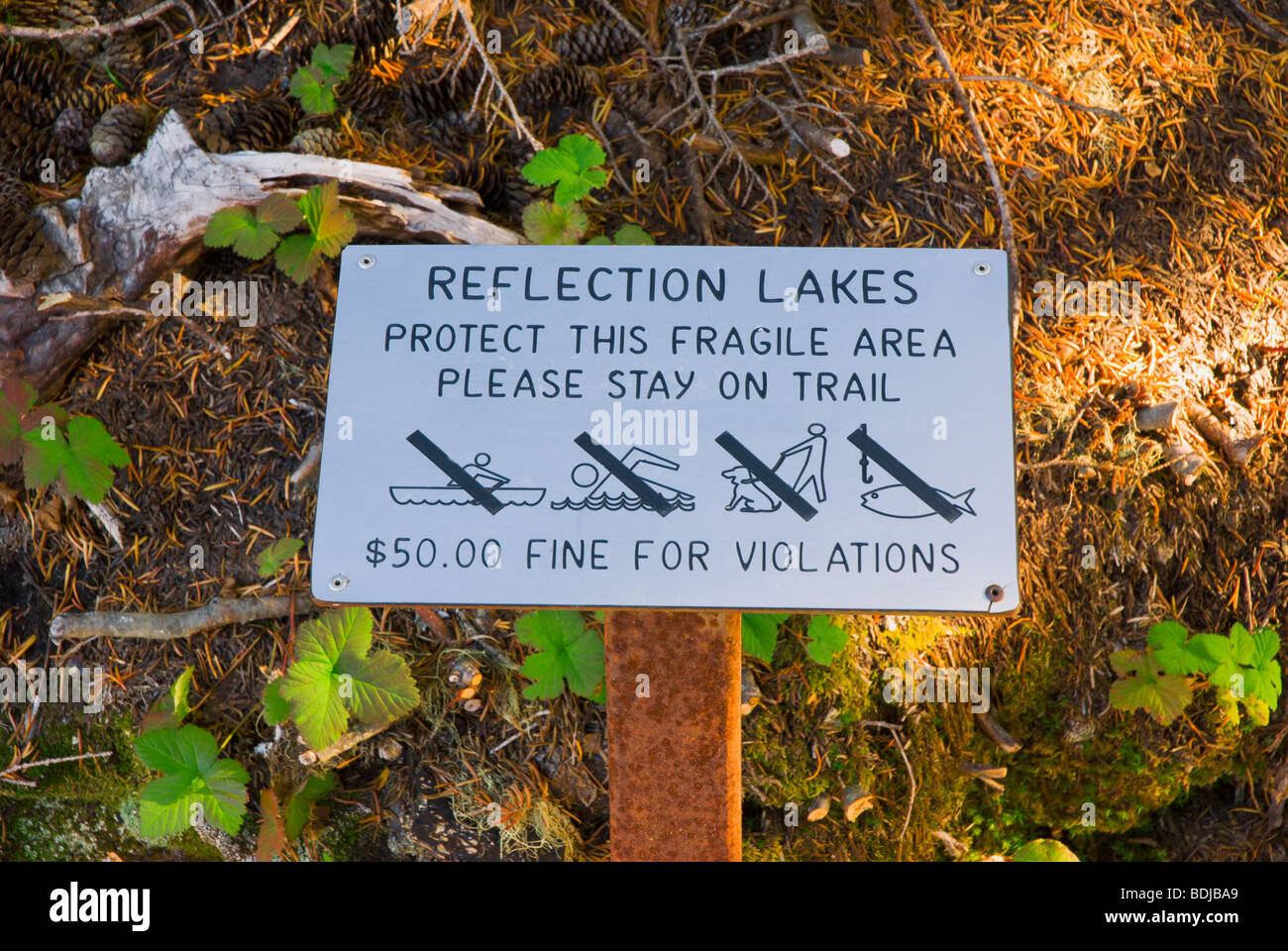 Trail sign on the Wonderland Trail protecting fragile area at ...
