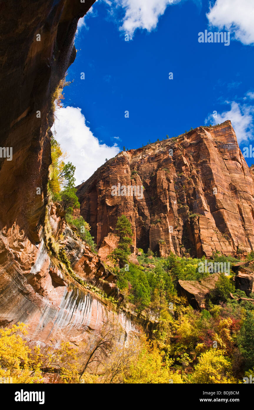 Fall color and cascade at the lower Emerald Pools, Zion National Park, Utah Stock Photo - Alamy