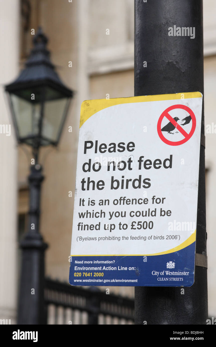 A street sign in Trafalgar Square, Westminster, London, England, U.K ...