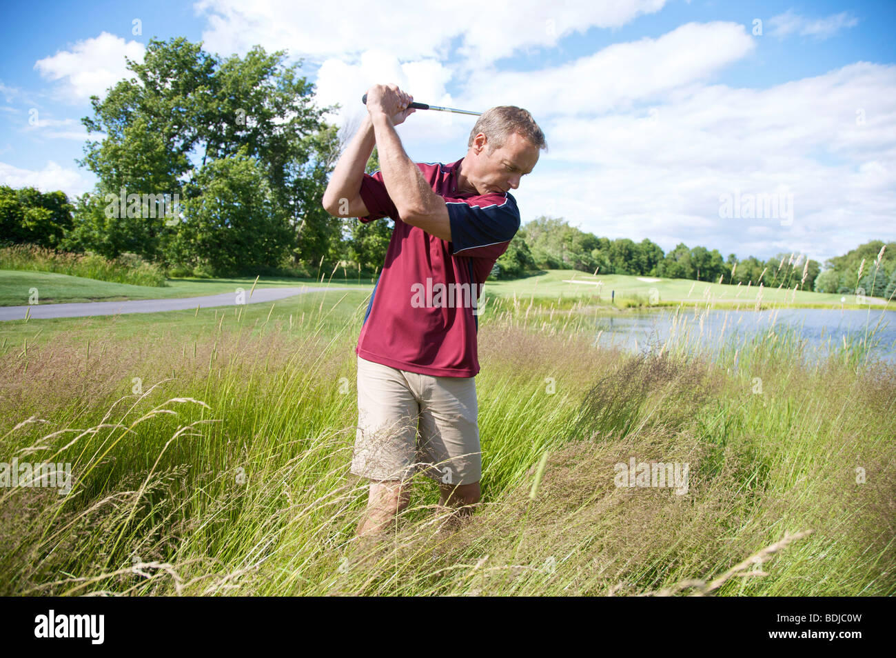 Man Golfing in Tall Grass Stock Photo - Alamy
