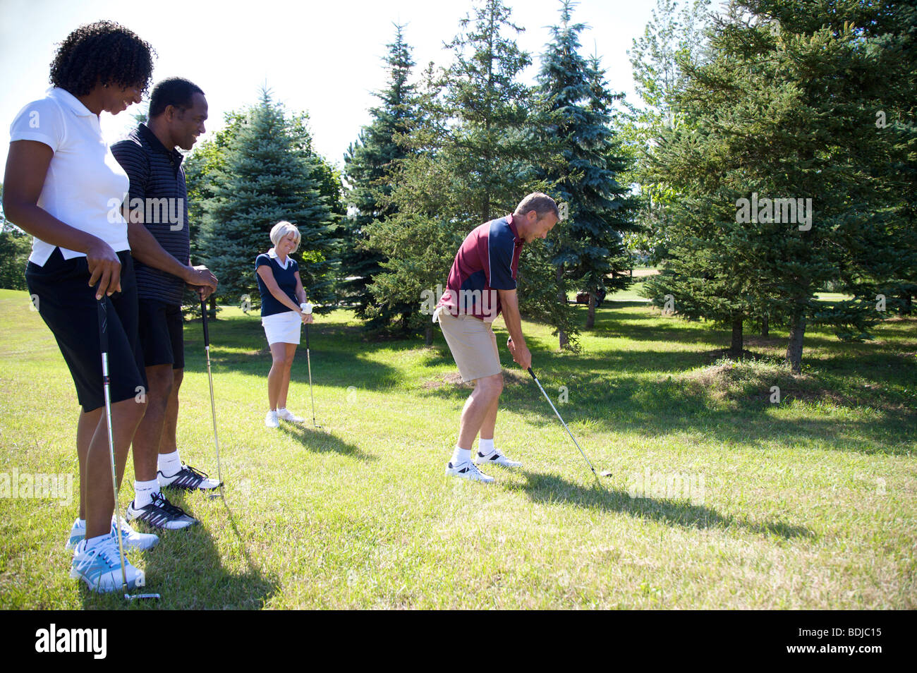 Group of People Golfing Stock Photo - Alamy