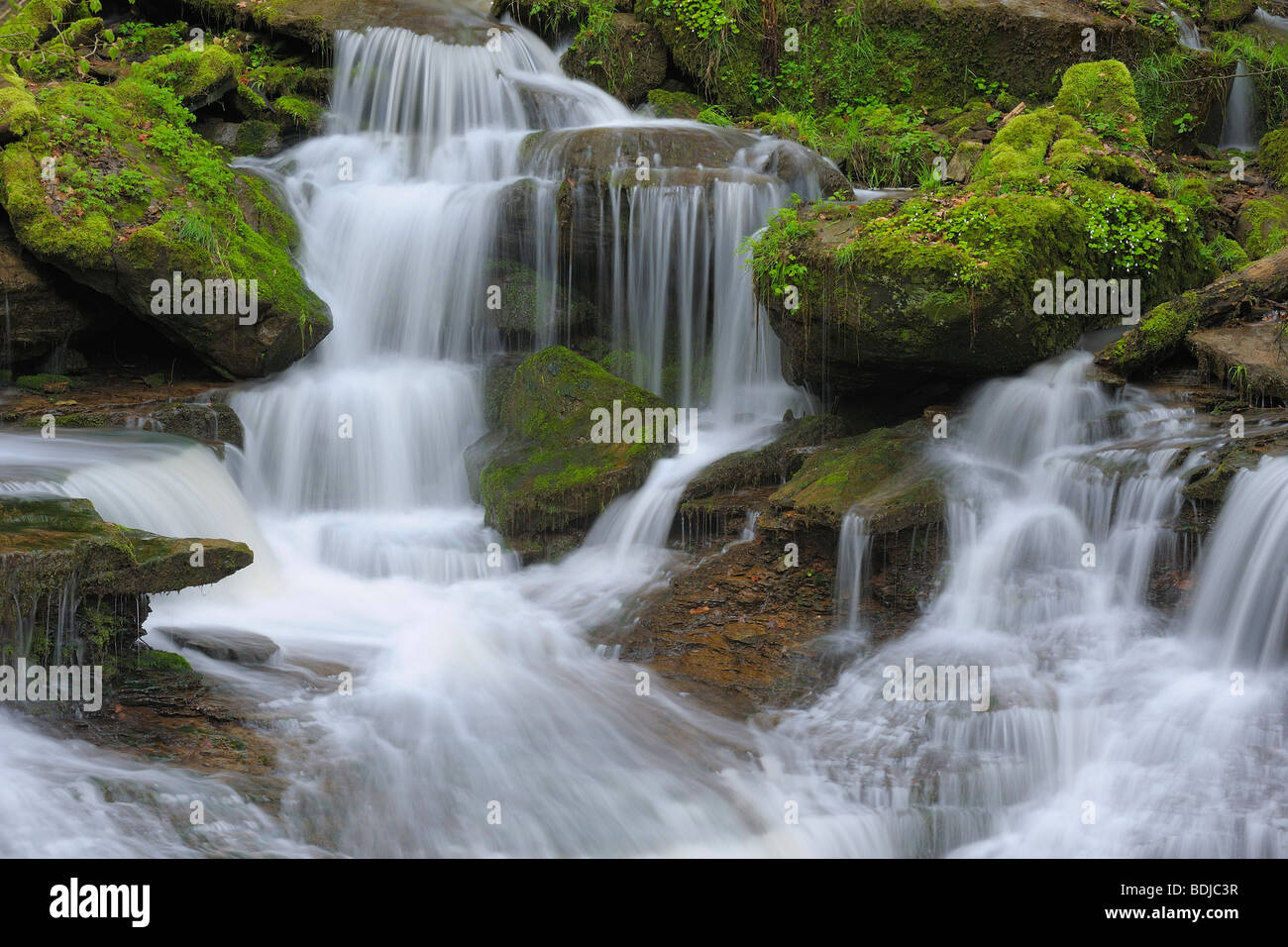 Spessart hi-res stock photography and images - Alamy