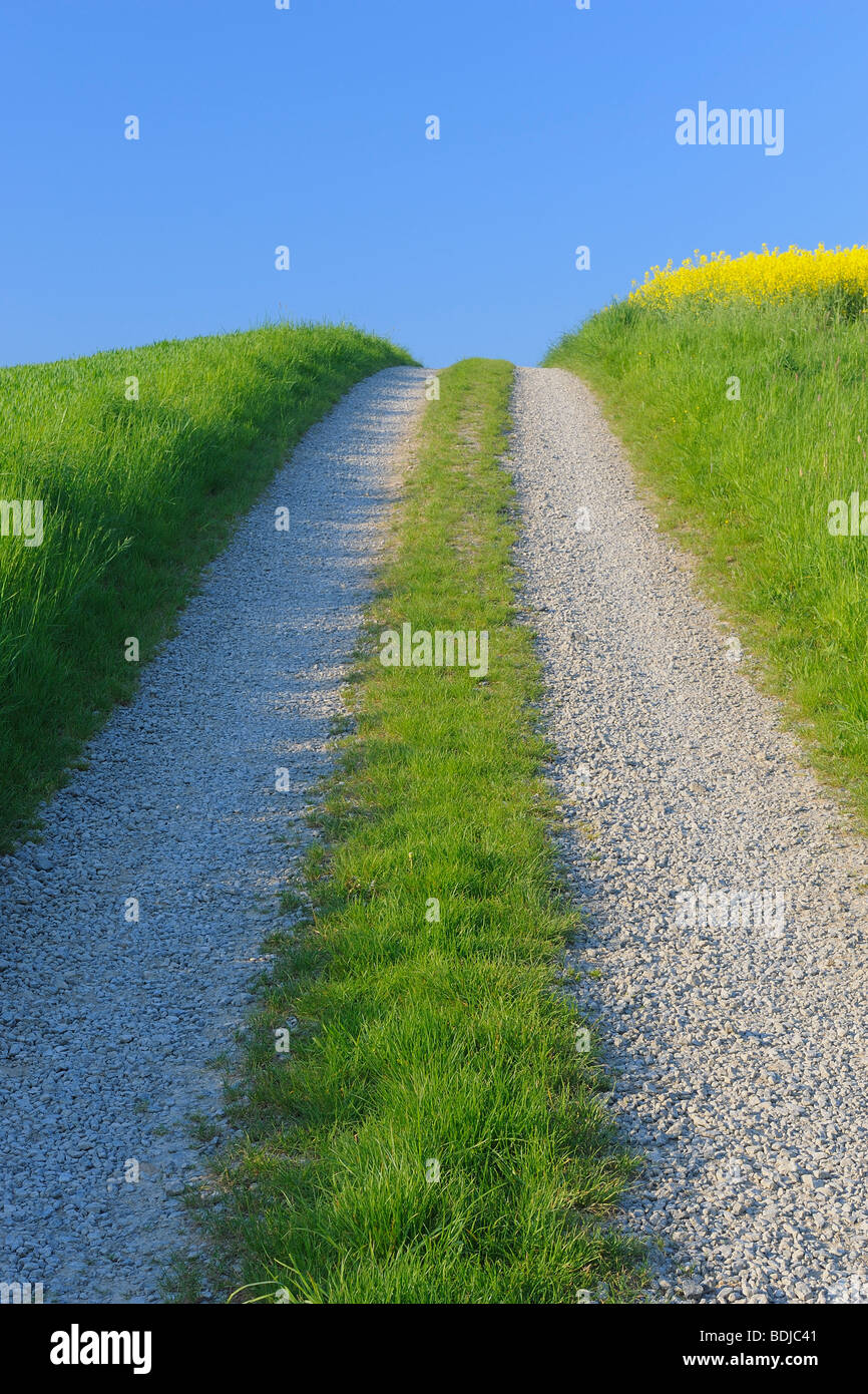 Gravel Road through Fields Stock Photo - Alamy