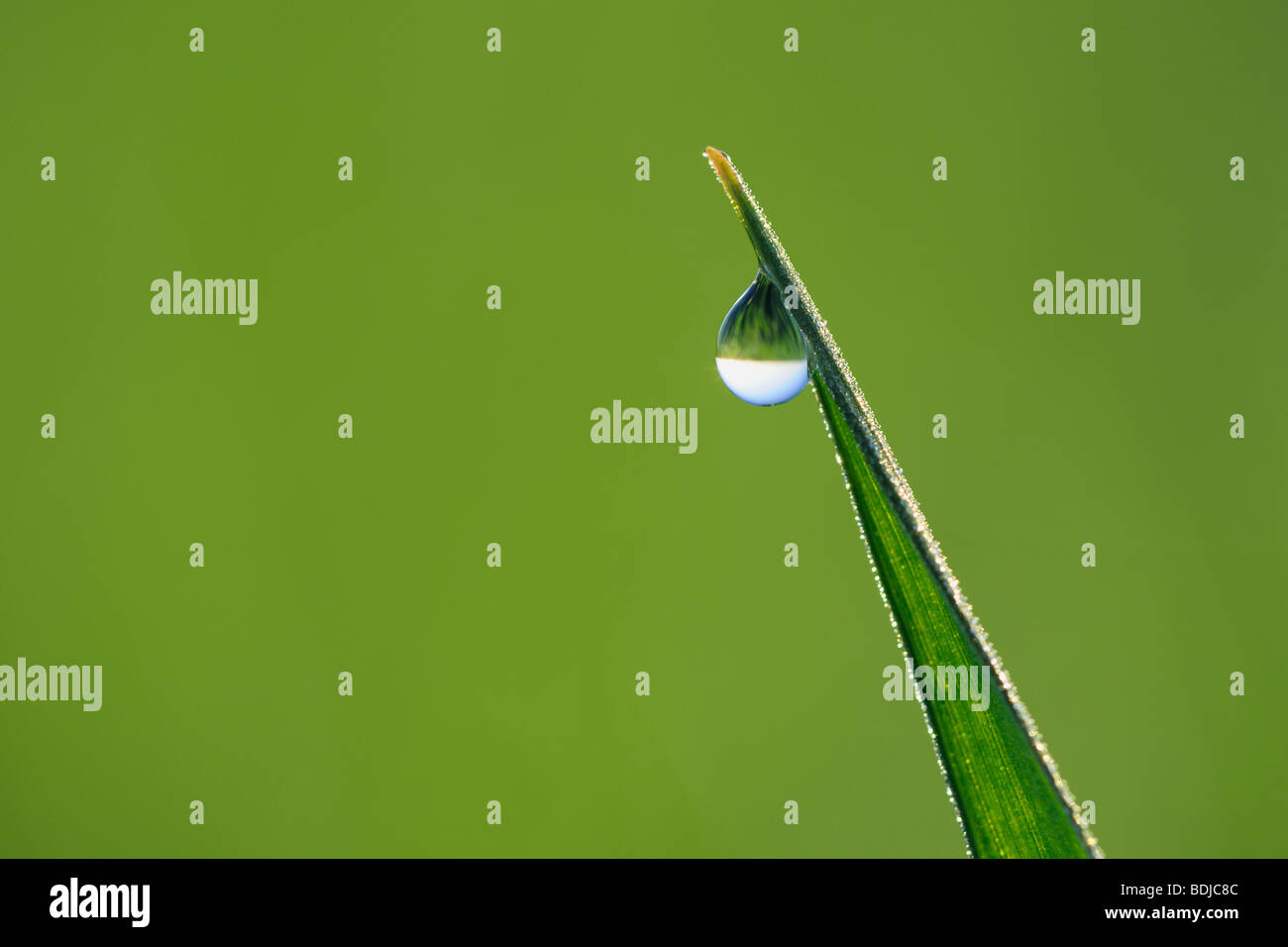 Drop space hi-res stock photography and images - Alamy