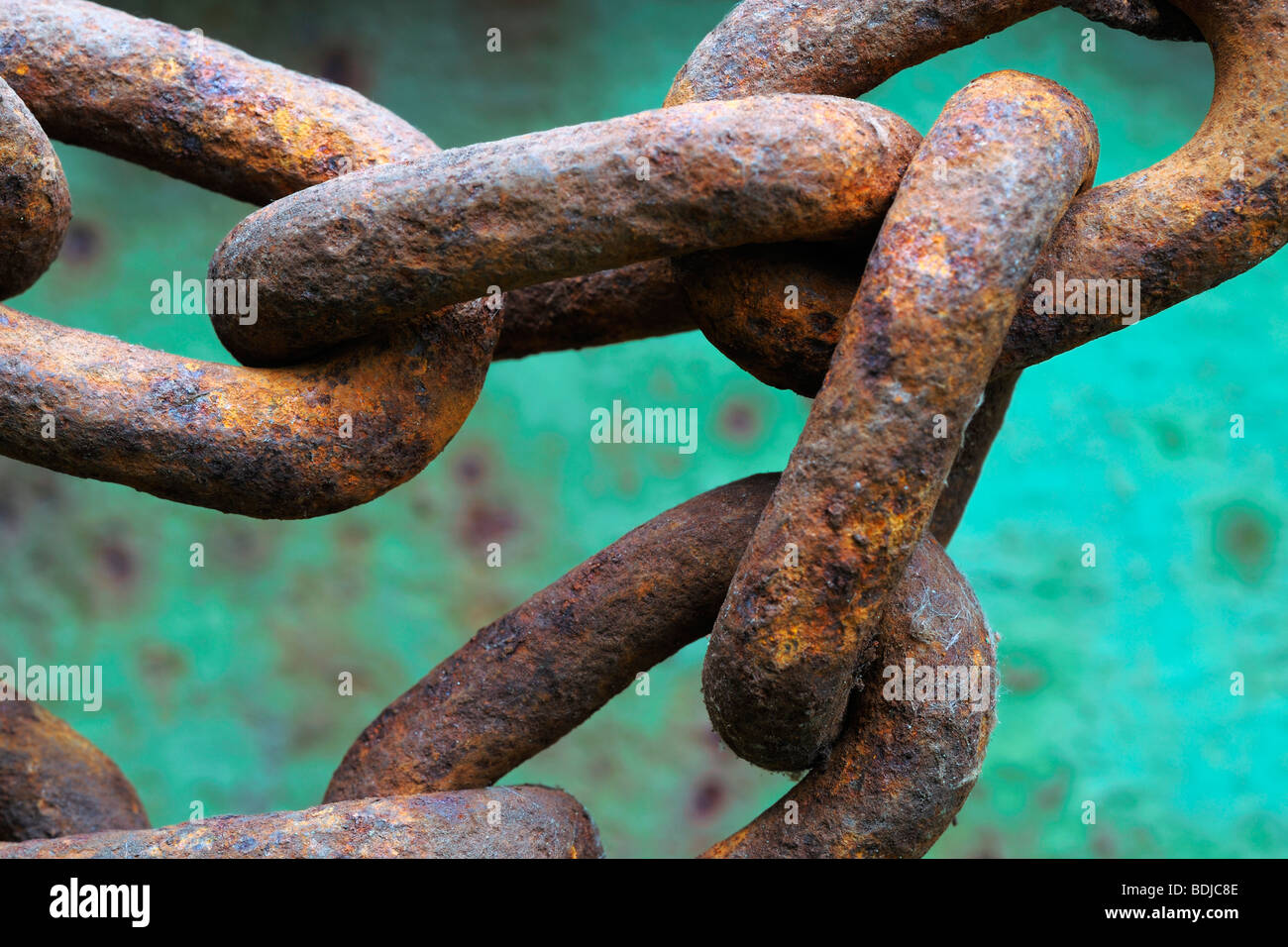 Life chain hi-res stock photography and images - Alamy