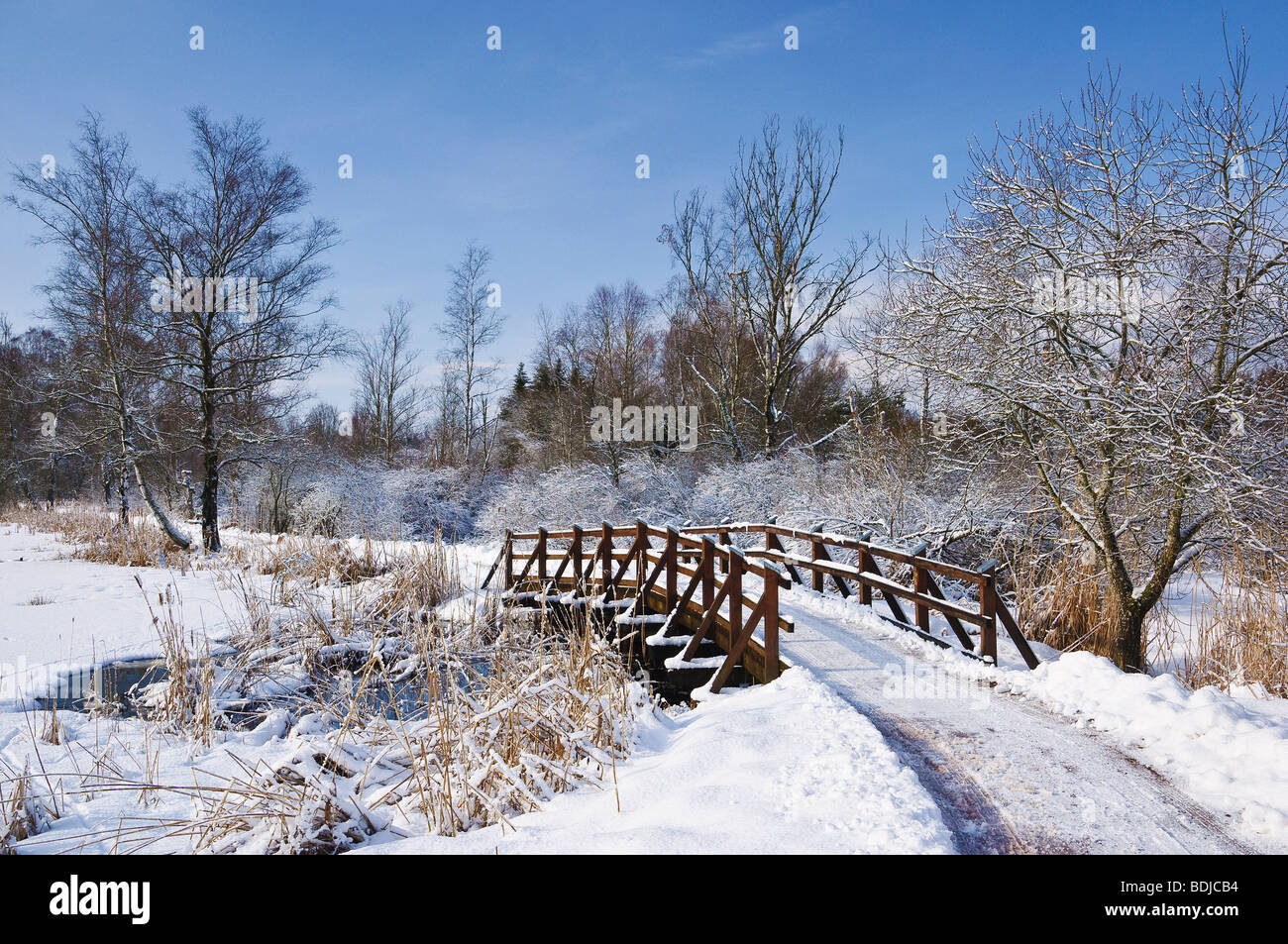 Path and Bridge in Schwenninger Moos, Baden-Wurttemberg, Germany Stock ...