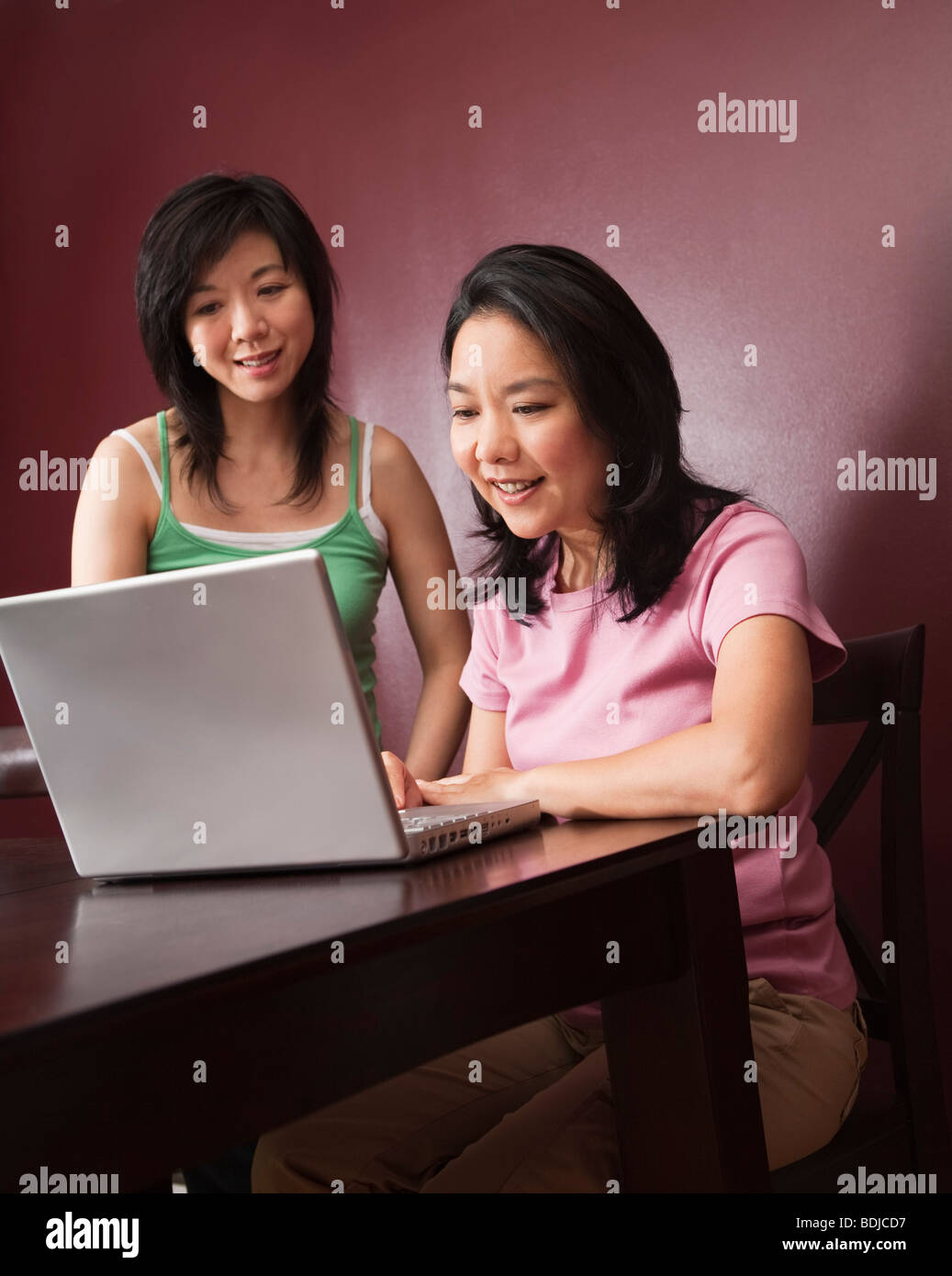 Two Women Using Laptop Computer Stock Photo - Alamy