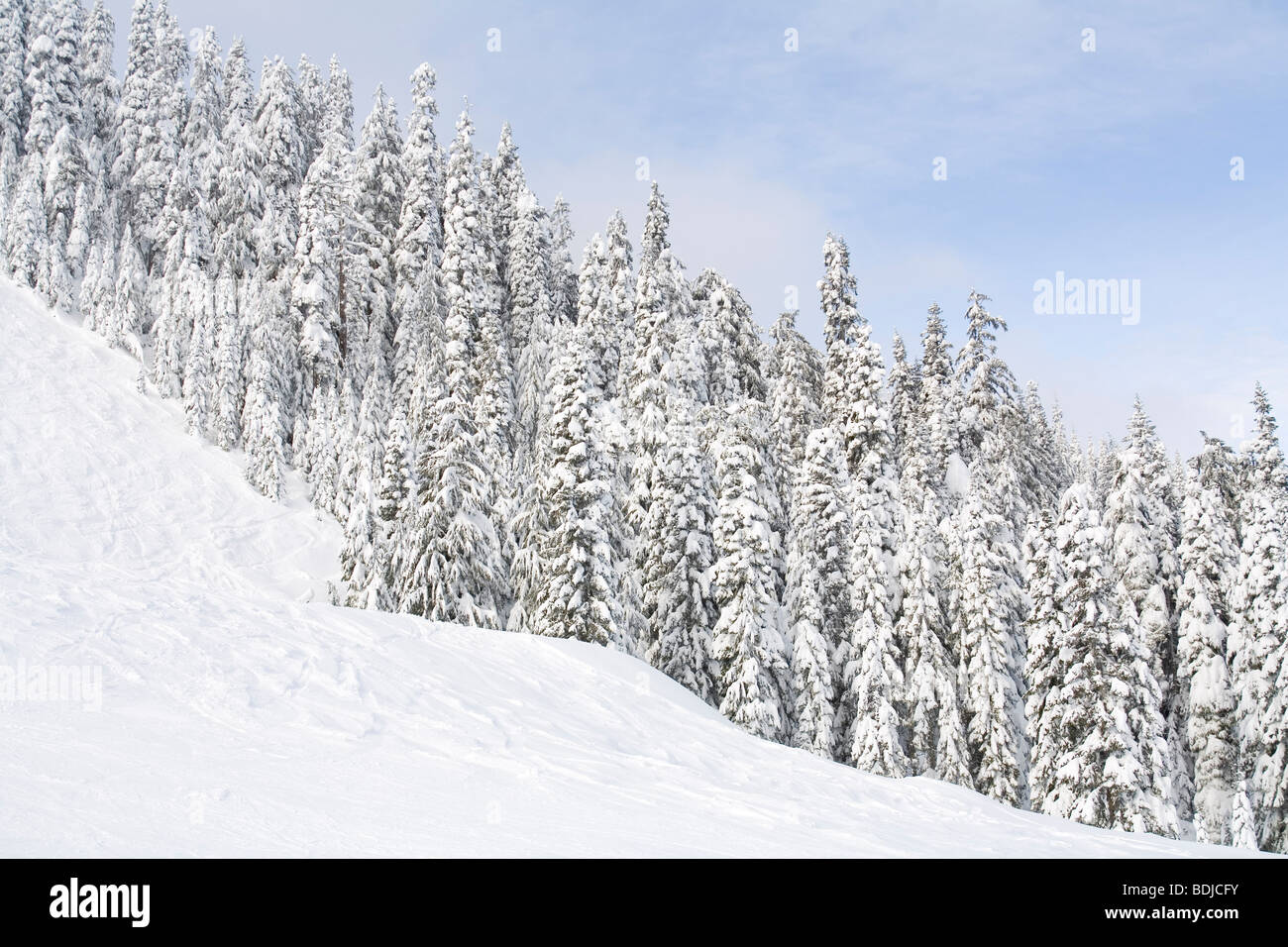 Snoqualmie Pass, Washington High Resolution Stock Photography and ...