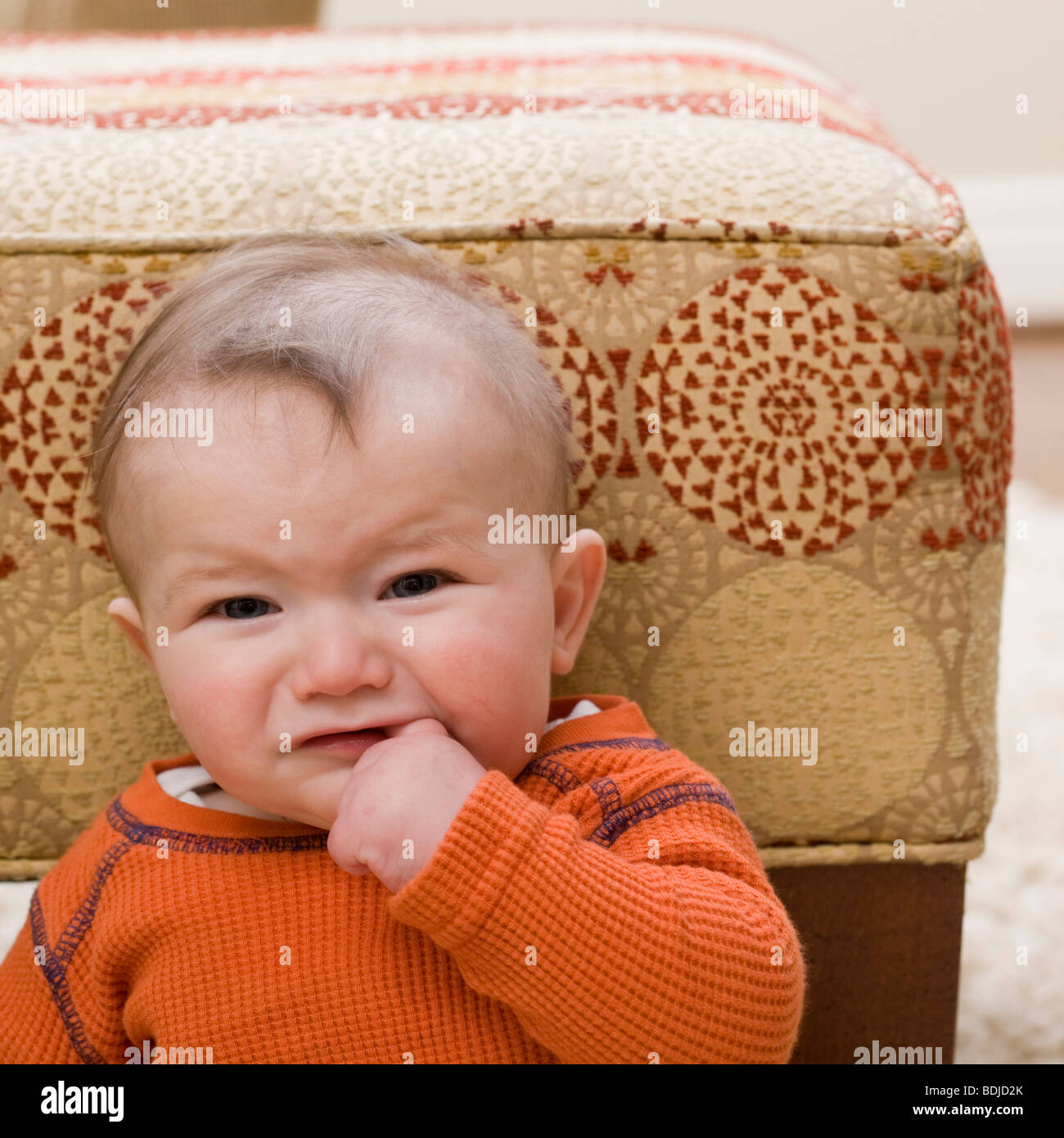 Weeping appearance hi-res stock photography and images - Alamy