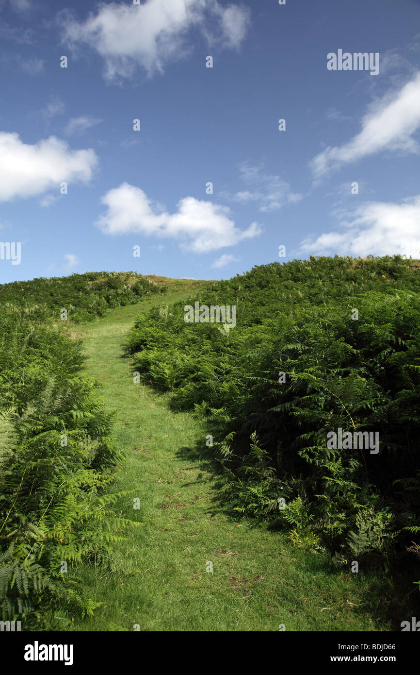 Campsies hi-res stock photography and images - Alamy