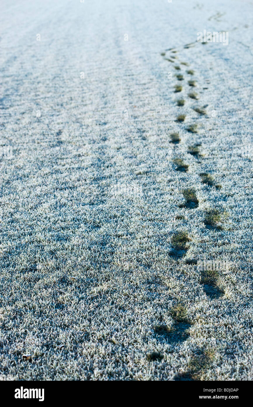 Football ground without grass hi-res stock photography and images - Alamy