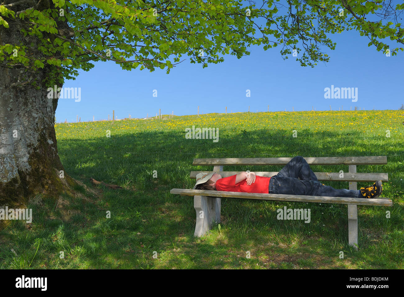 Boy Sleeping on Bench, Black Forest, Baden Wuerttemberg, Germany Stock ...
