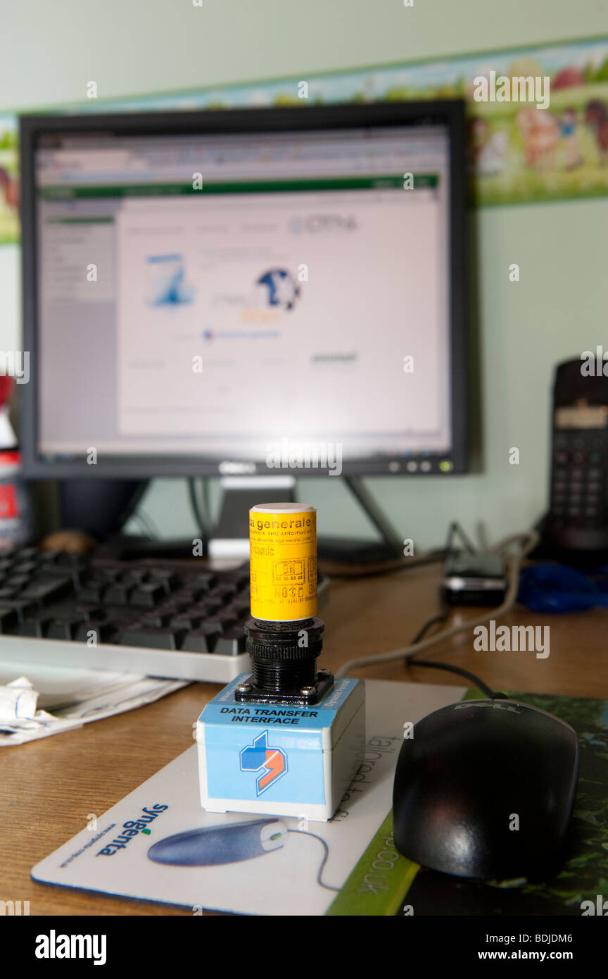 Cattle management system hi-res stock photography and images - Alamy