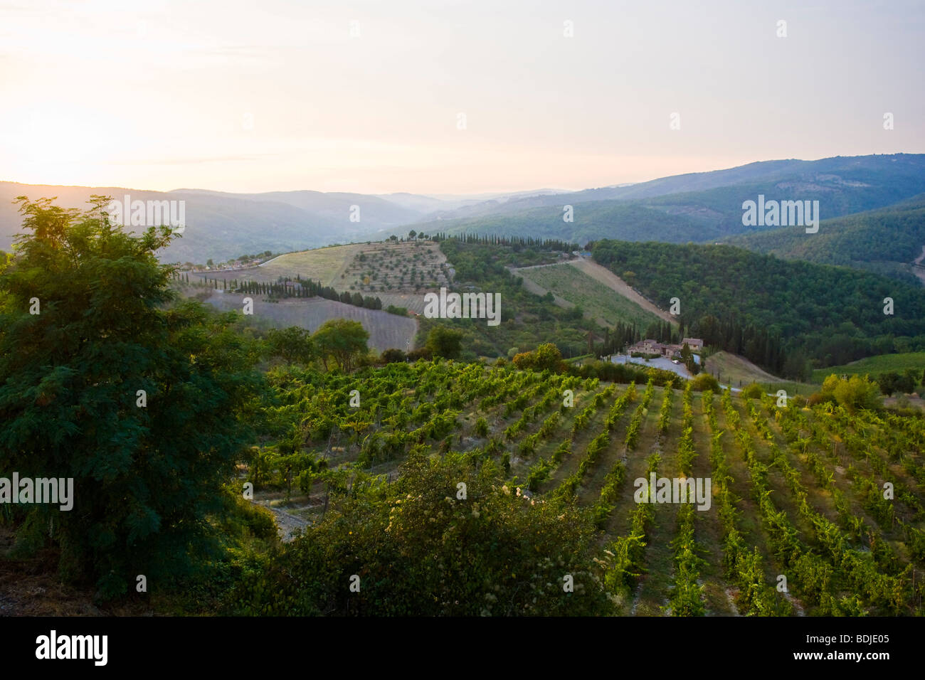 Radda in Chianti, Province of Siena, Tuscany, Italy Stock Photo - Alamy