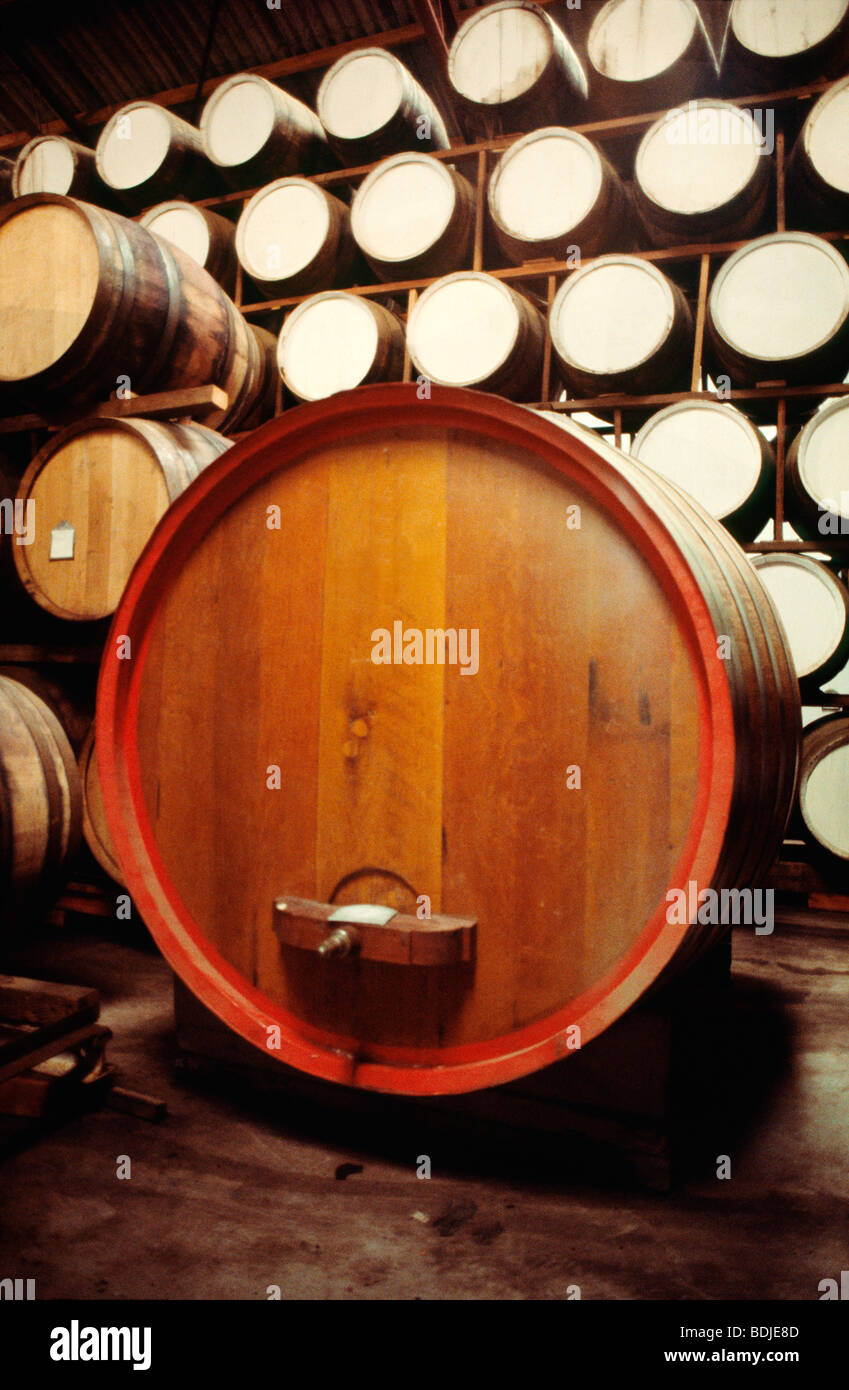 Barrels, Vineyard, Winery Stock Photo - Alamy