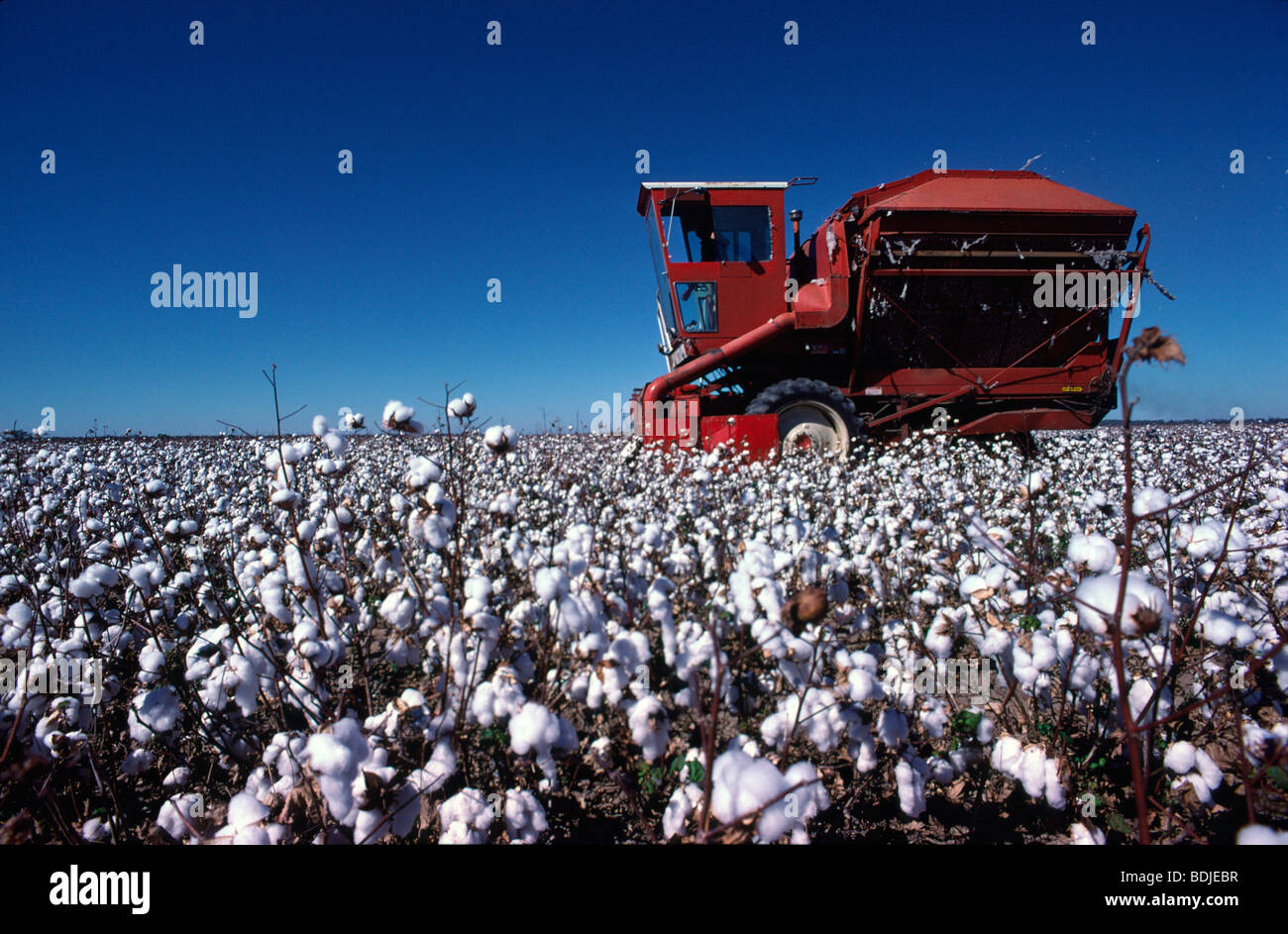 Transporting cotton hi-res stock photography and images - Alamy