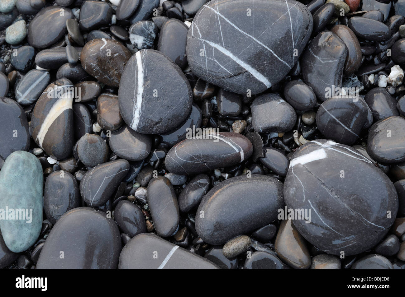 Detailed close up beach pebbles hi-res stock photography and images - Alamy