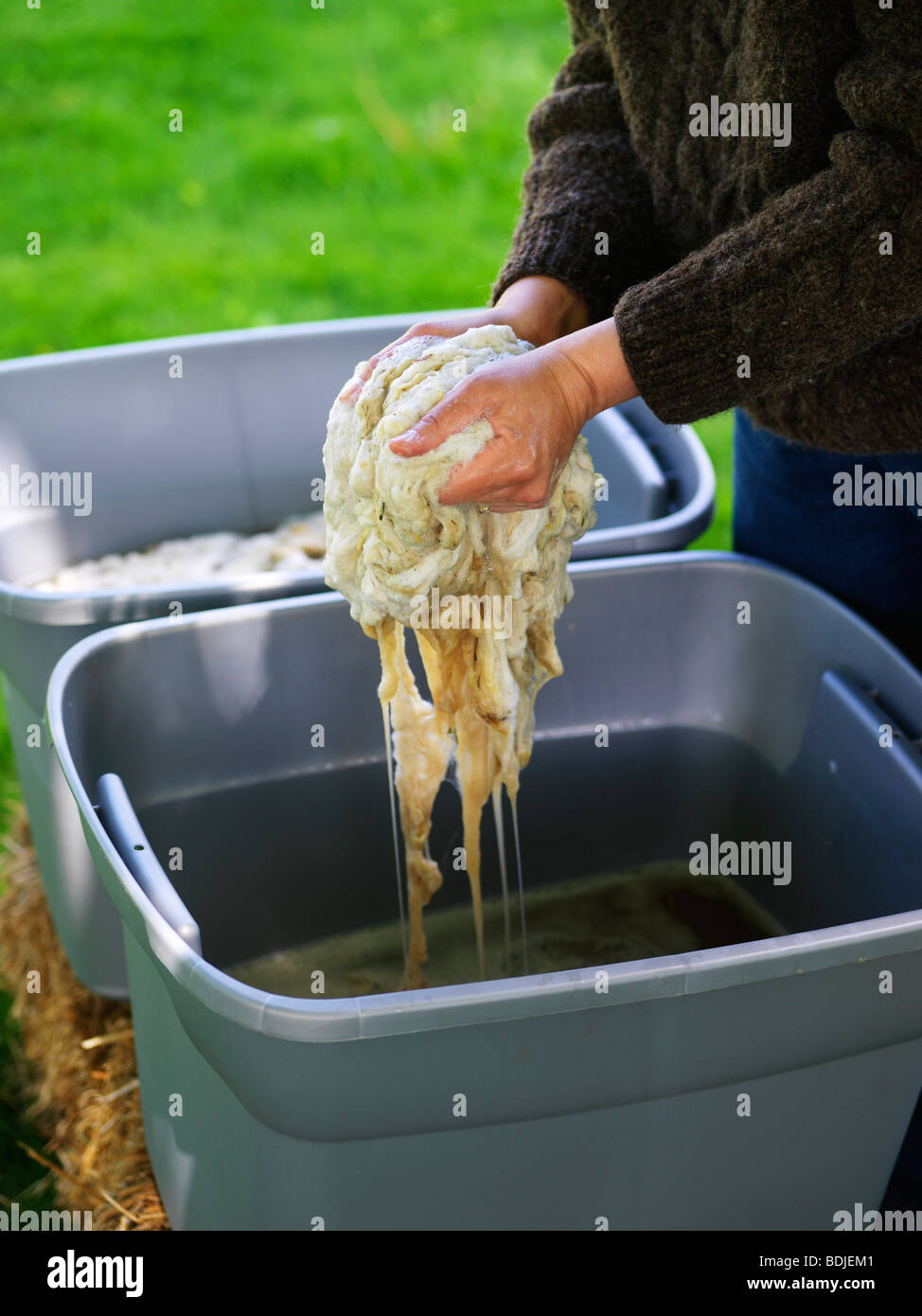 Woman sheep shearing hi-res stock photography and images - Alamy